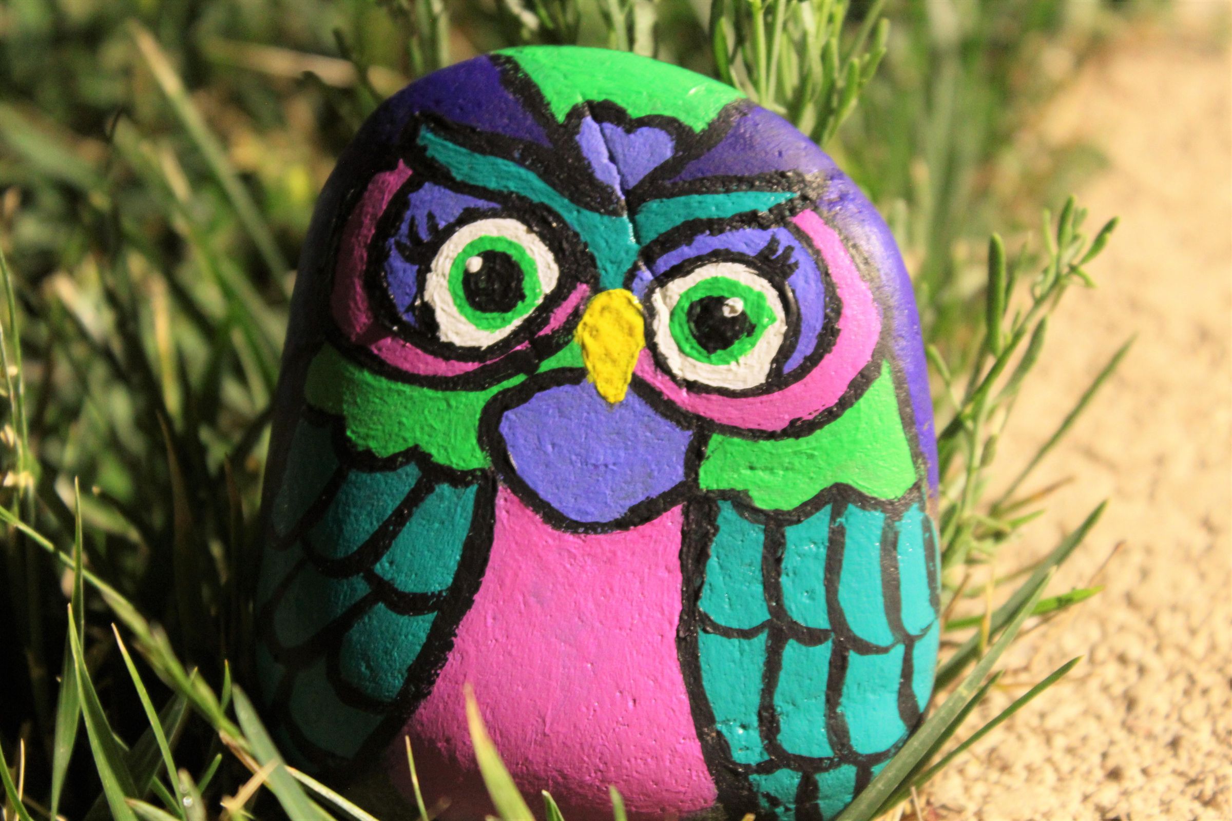 Owl Painted Garden Rocks : 6 Steps (with Pictures) - Instructables