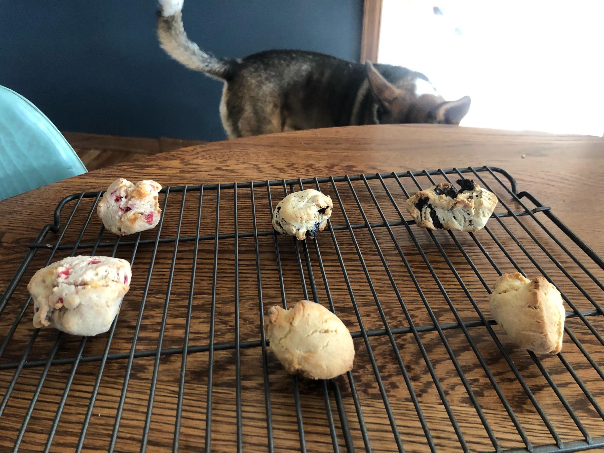 Tea Party on a Stick: Scones Three Ways : 4 Steps (with Pictures ...