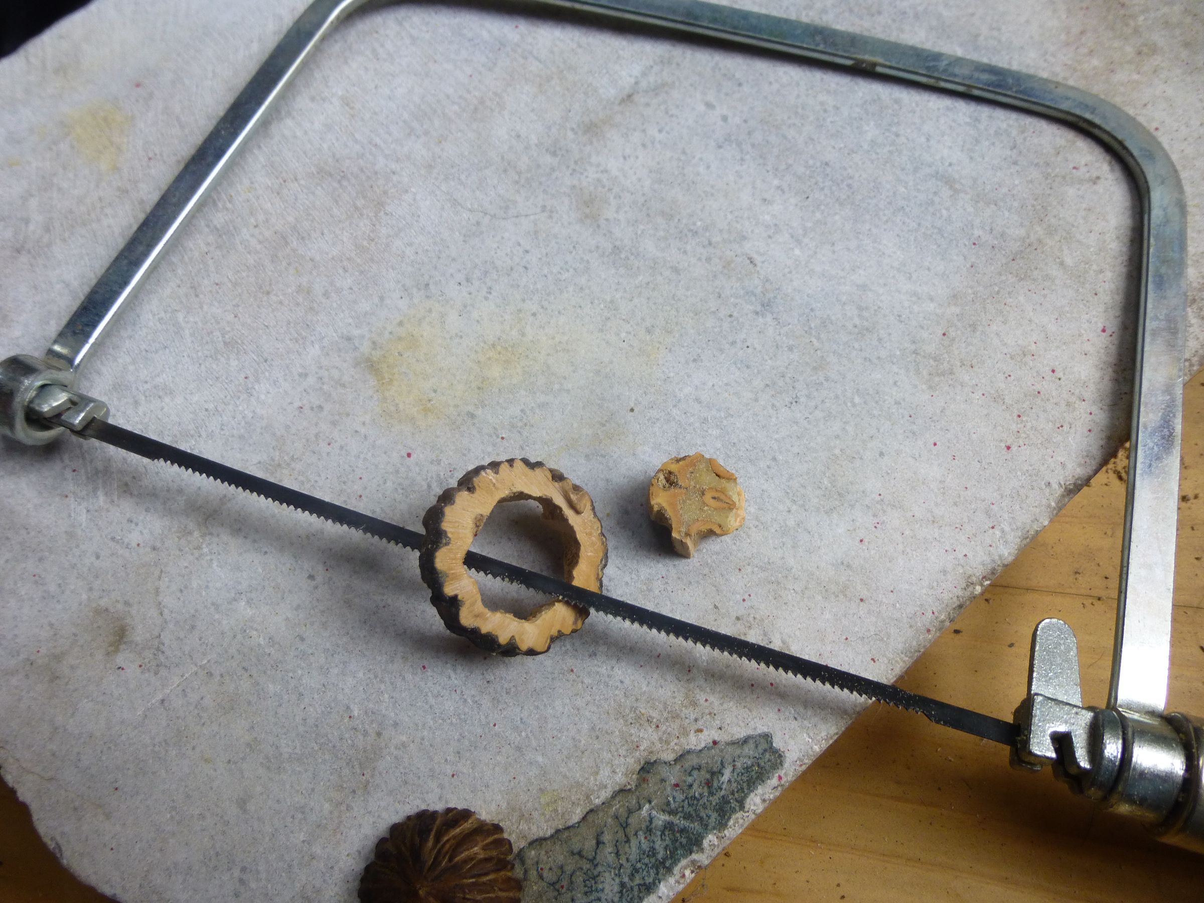 Black Walnut Seed Ring. : 4 Steps (with Pictures) - Instructables