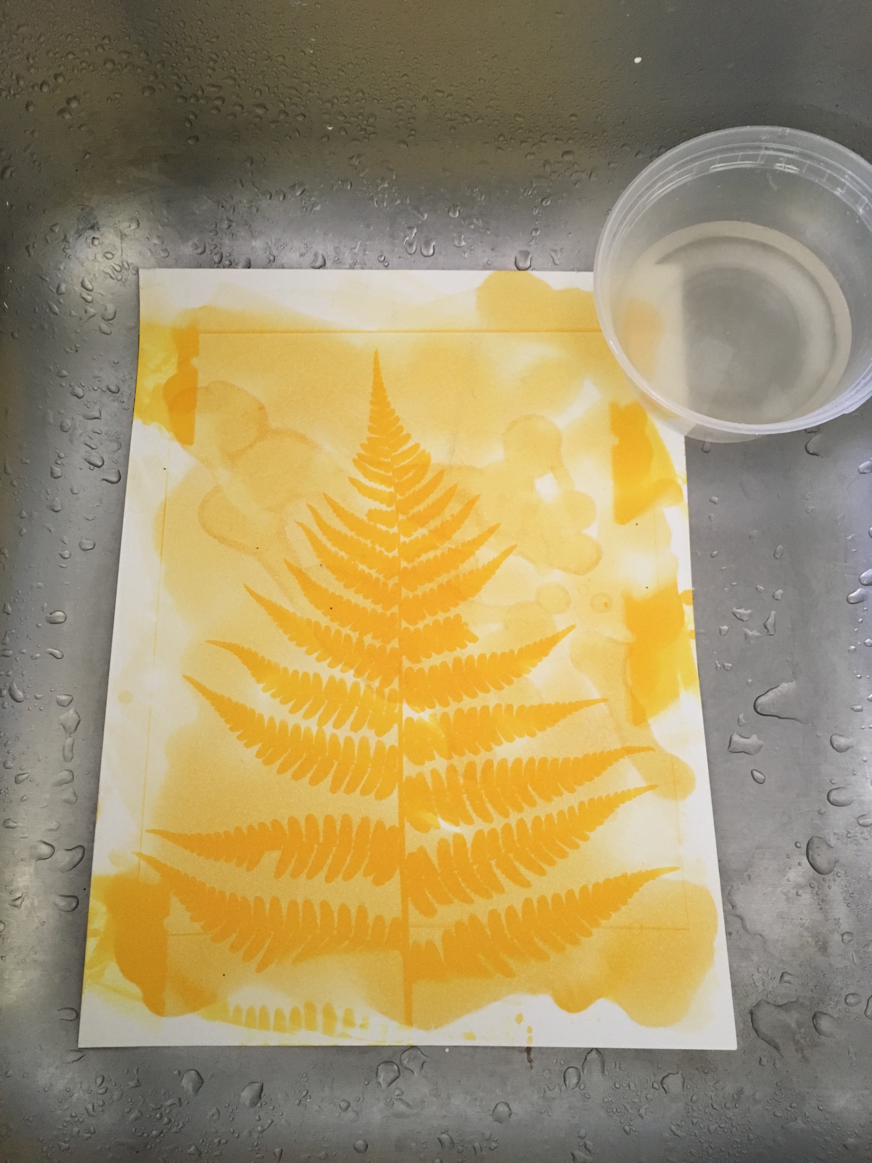 Alternative Photography: Anthotype & Cyanotype : 5 Steps (with Pictures ...