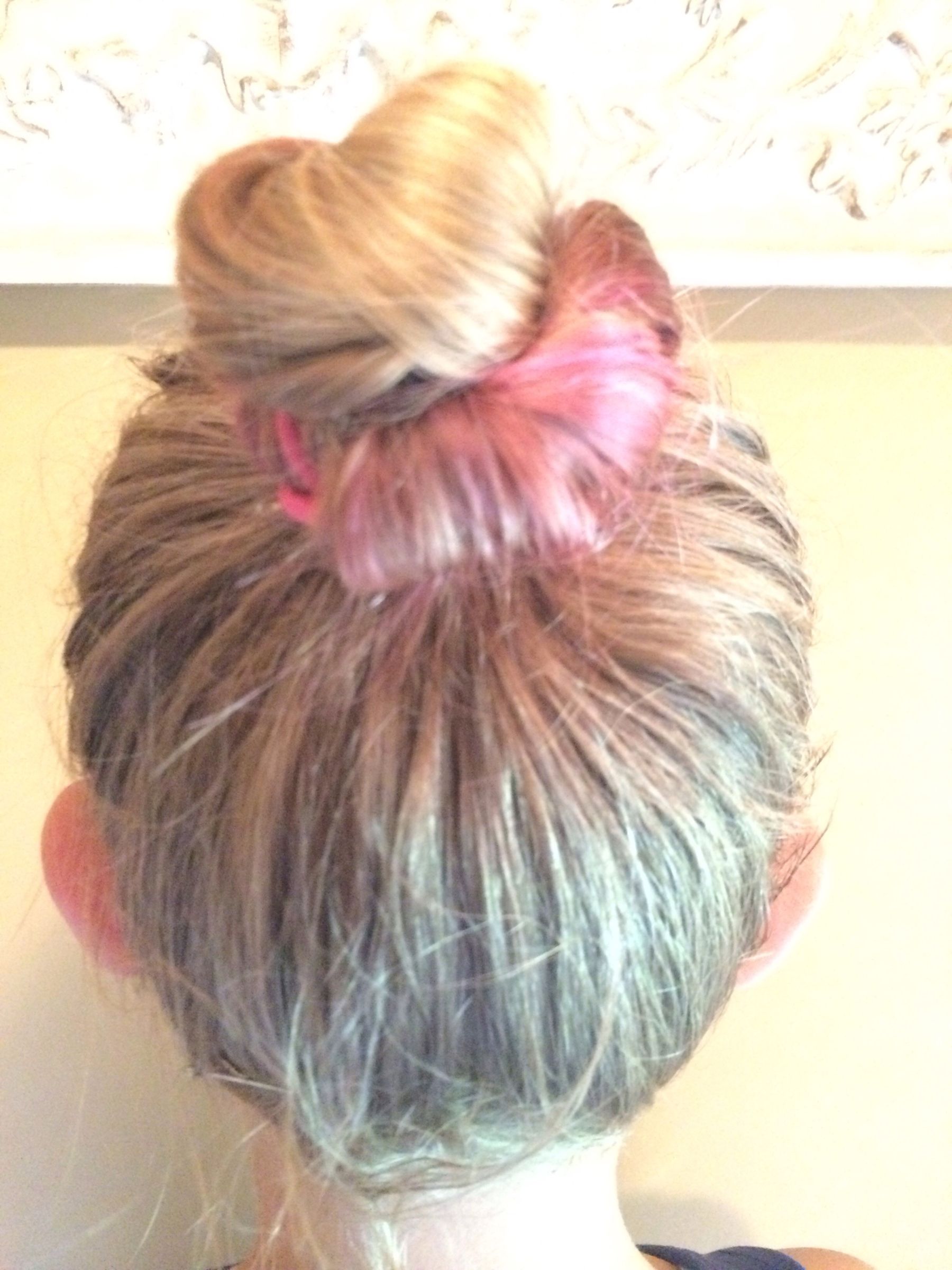 Braided Bun : 7 Steps - Instructables