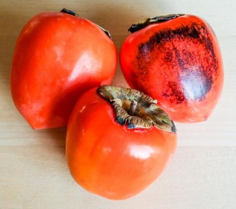 Persimmon Bread : 6 Steps - Instructables