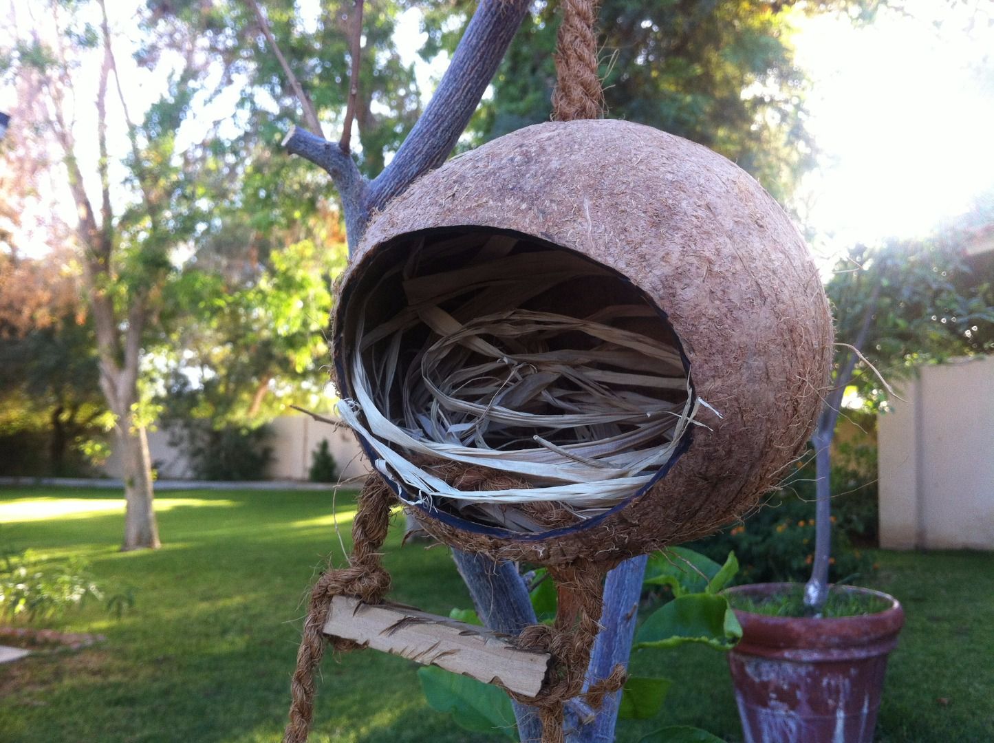 Coconut Hut | a Home for Birds & Creatures : 6 Steps (with Pictures ...
