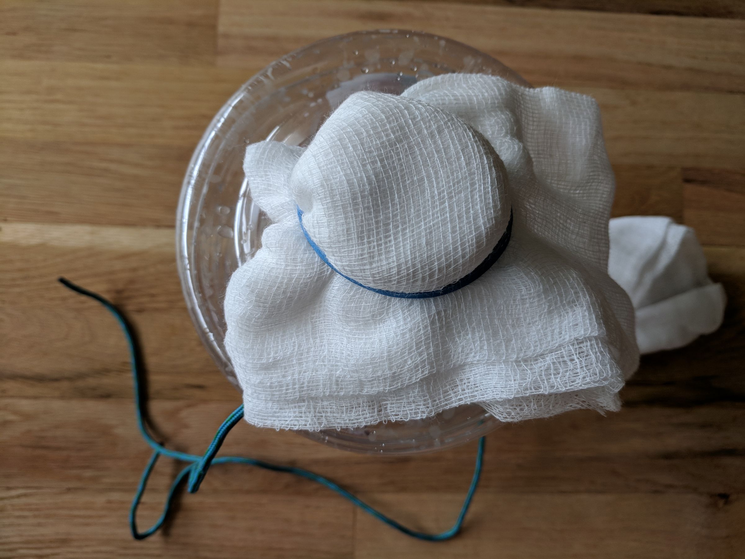 Filter Saving Pre-Filtration Method - Keep the Gunk Out of Your Water ...