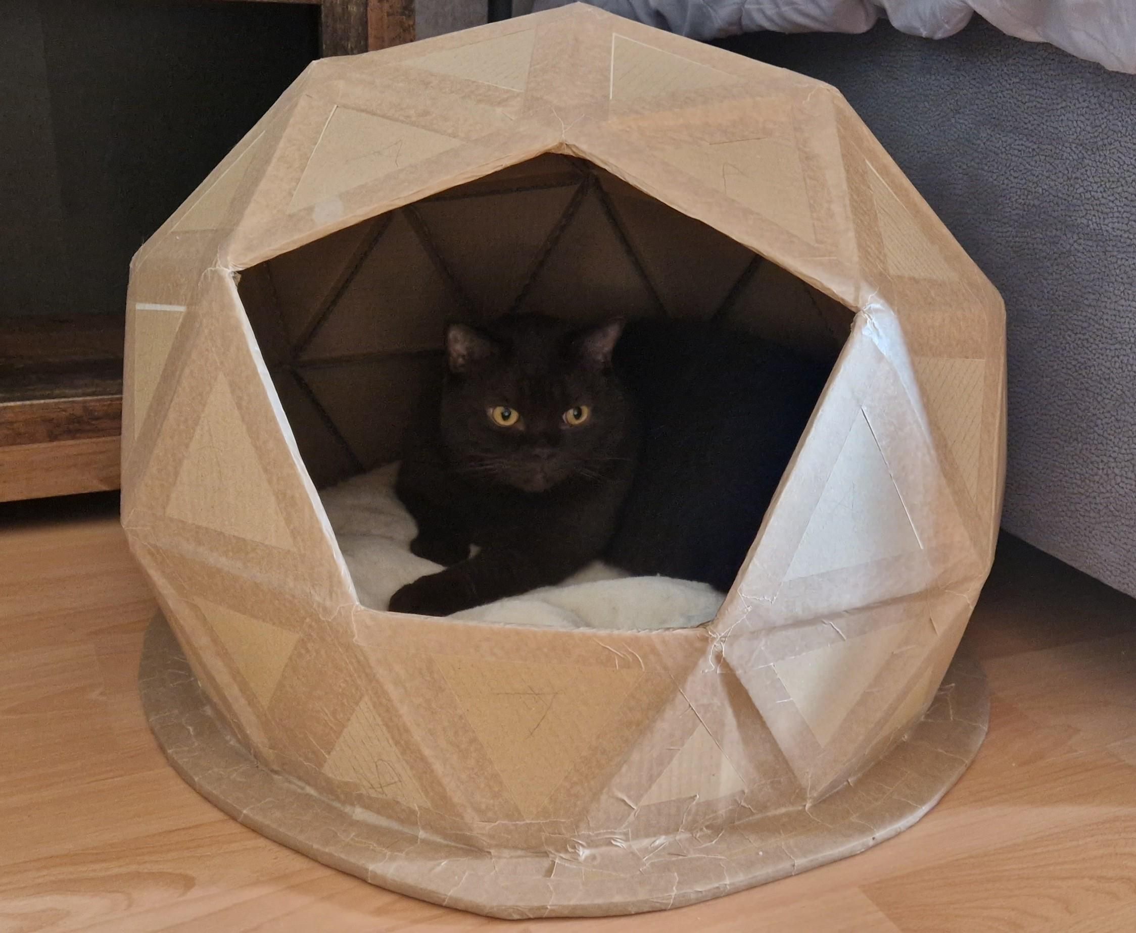 Cardboard Geodesic Dome : 7 Steps (with Pictures) - Instructables