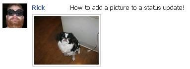Adding a Picture to a Facebook Status Update : 4 Steps - Instructables
