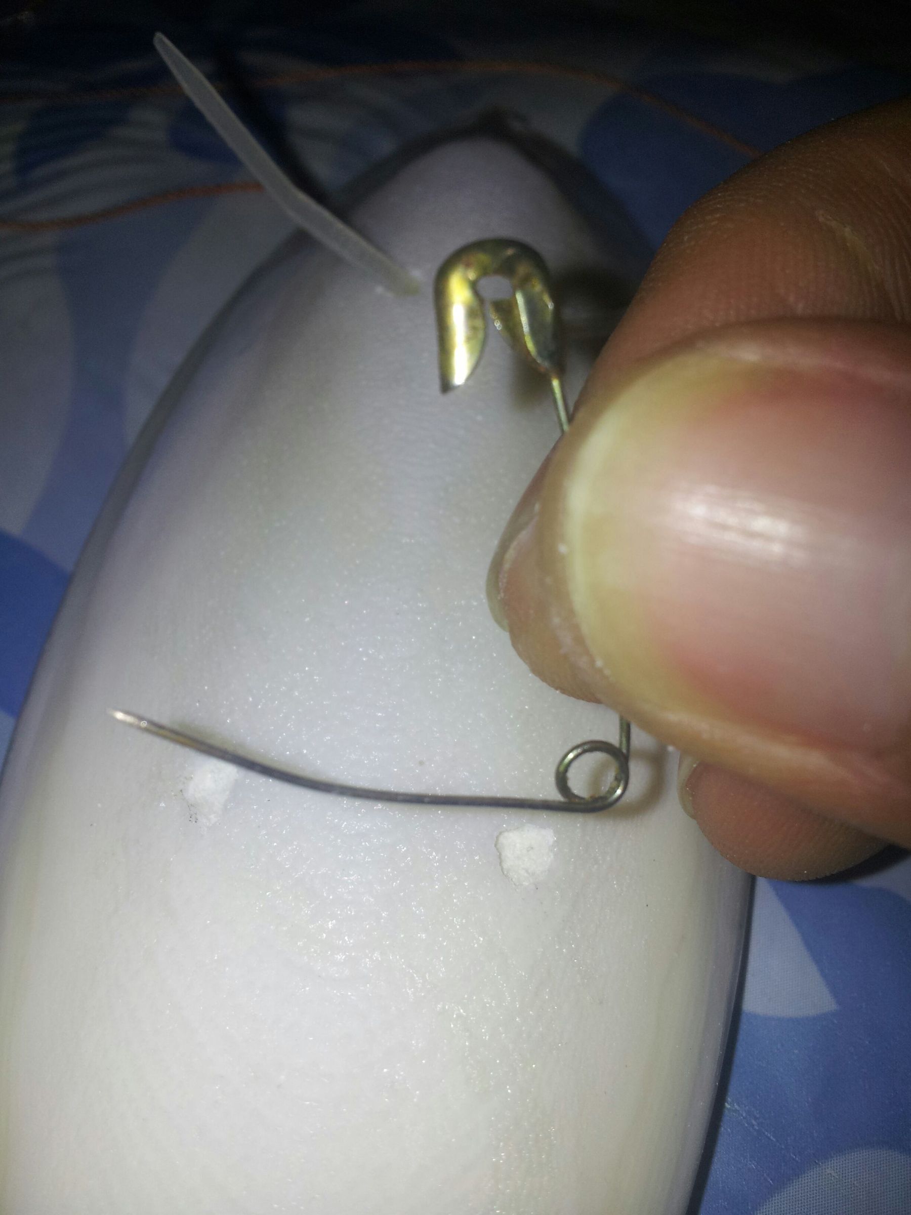 Zip Tie Cuttlebone Holder for Birds : 6 Steps - Instructables