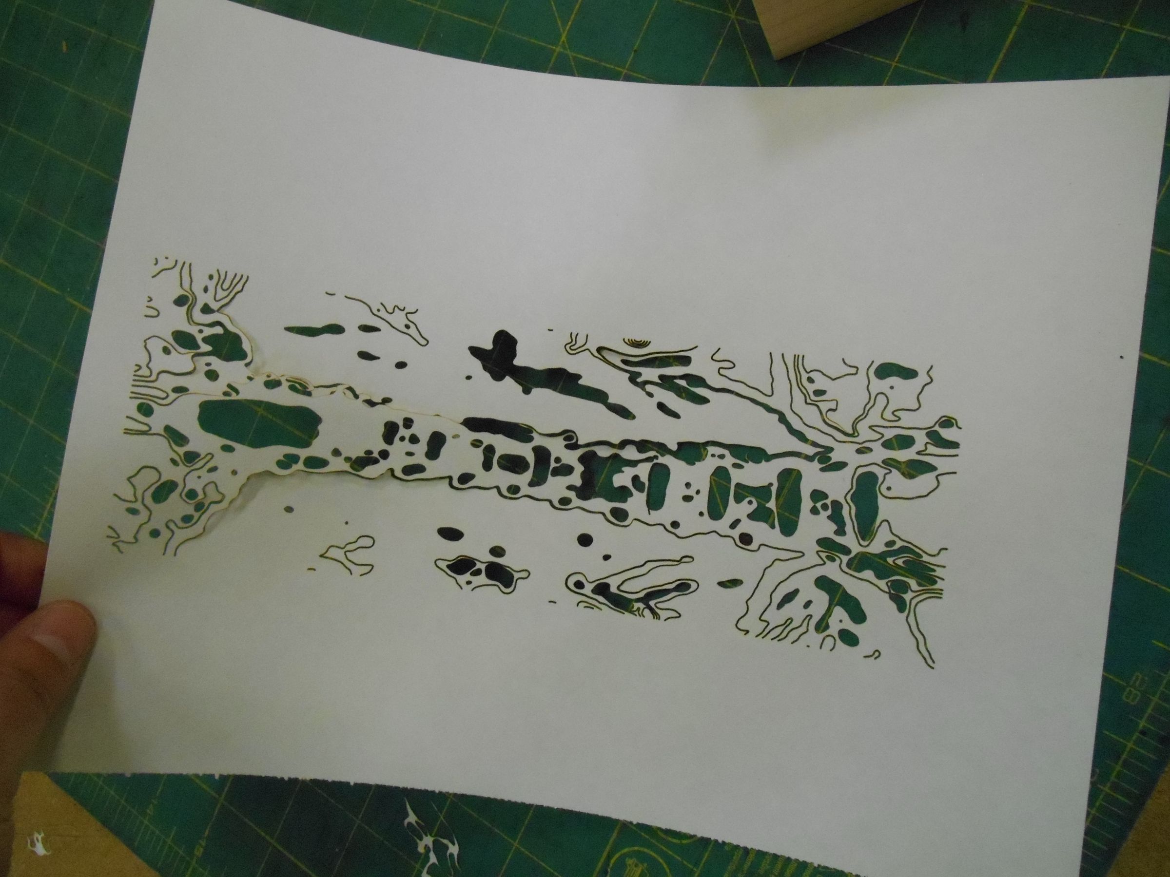 Creating Topographical Maps From Images in Rhino : 3 Steps - Instructables