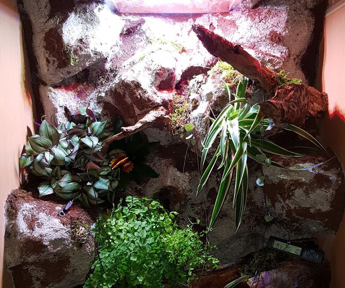 Convert Old Cupboard Into Amazing Vivarium : 4 Steps (with Pictures ...