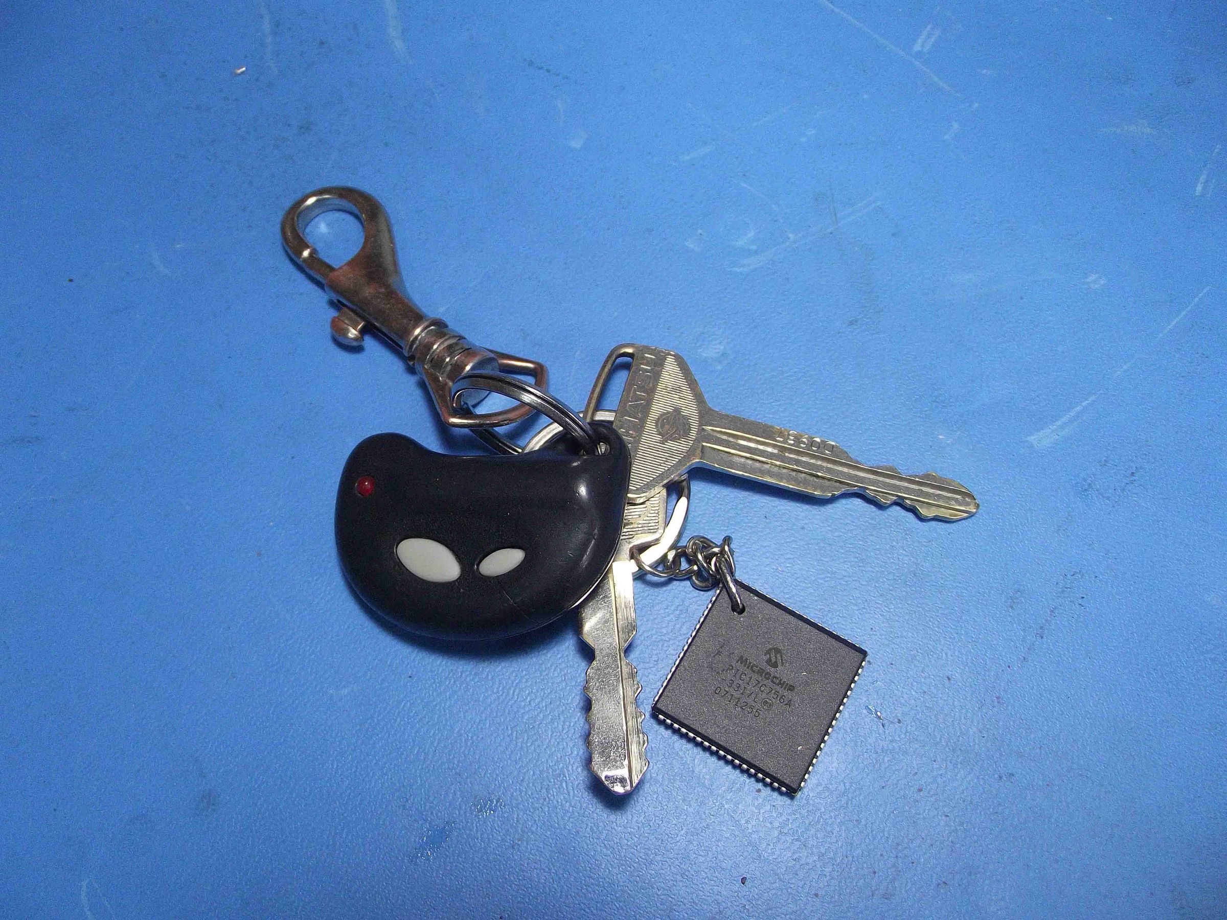 Microchip Keychain in Less Than 5 Minutes !!! : 4 Steps - Instructables