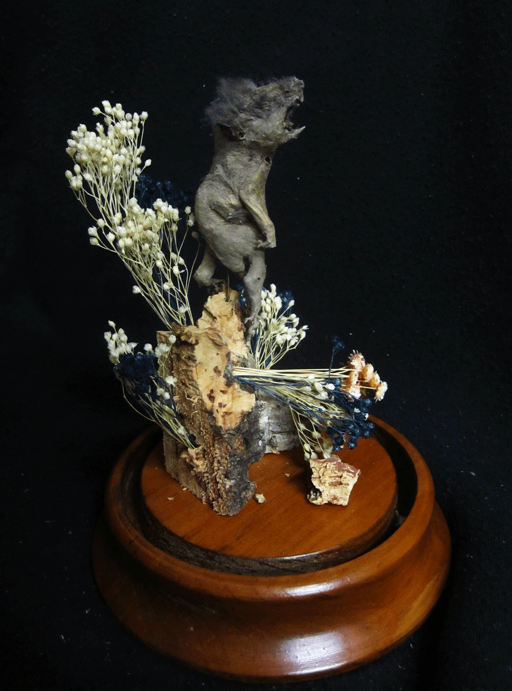 Desiccated Taxidermy Mummy Mouse in a Bell Jar (for Your Wunderkammer ...