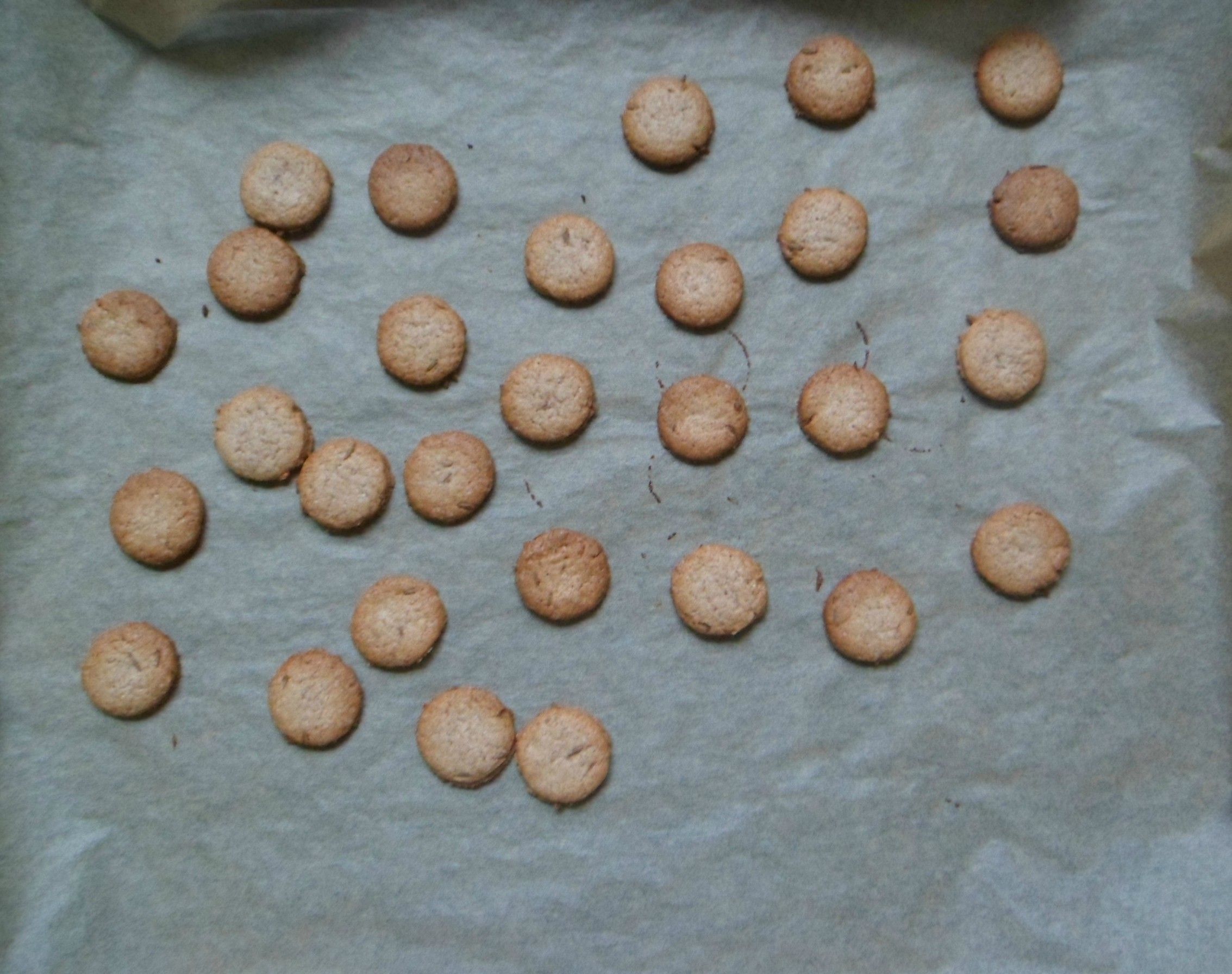 Whole Wheat Mini Cumin Biscuits : 7 Steps (with Pictures) - Instructables