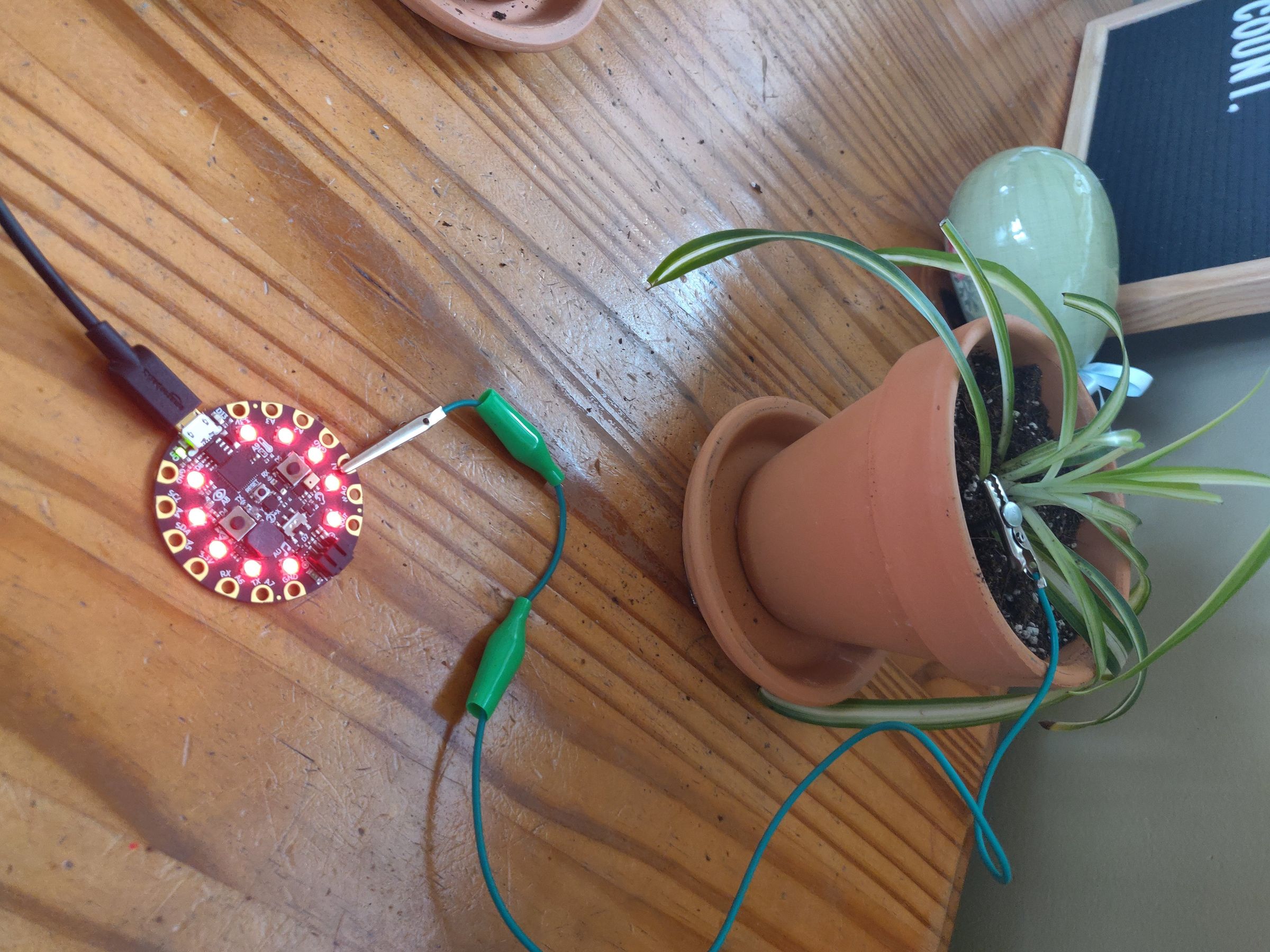 Soil Moisture Detecting Pot for House Plants : 5 Steps - Instructables