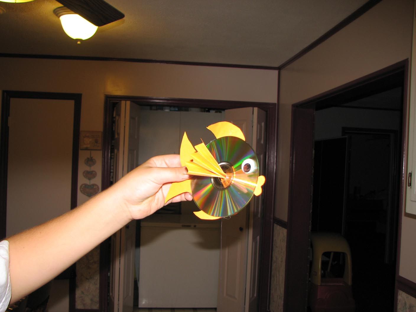 CD ROM Fish Craft : 8 Steps (with Pictures) - Instructables