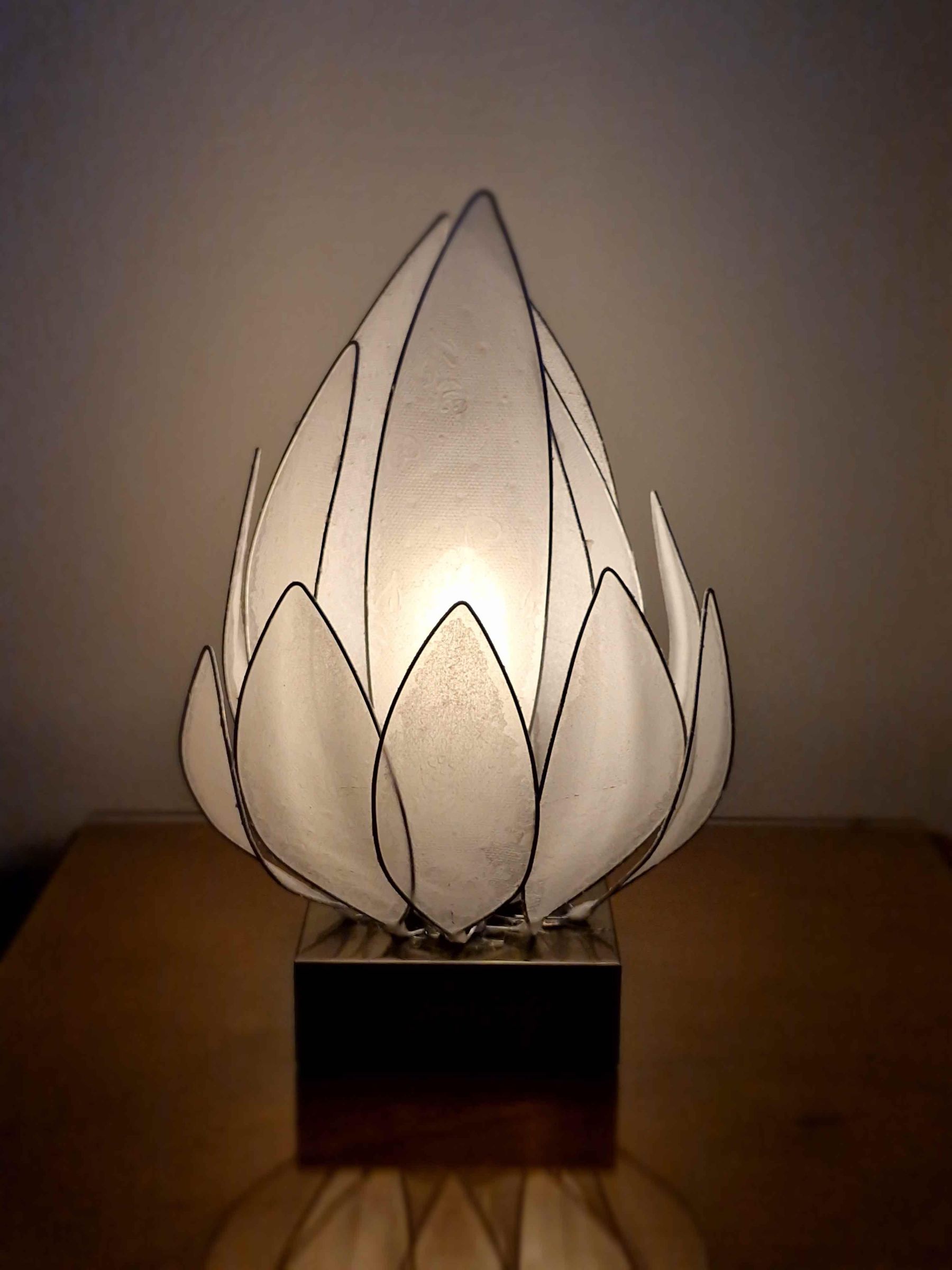 Transforming Toilet Paper Into a Beautiful Lotus Flower Lamp : 14 Steps ...