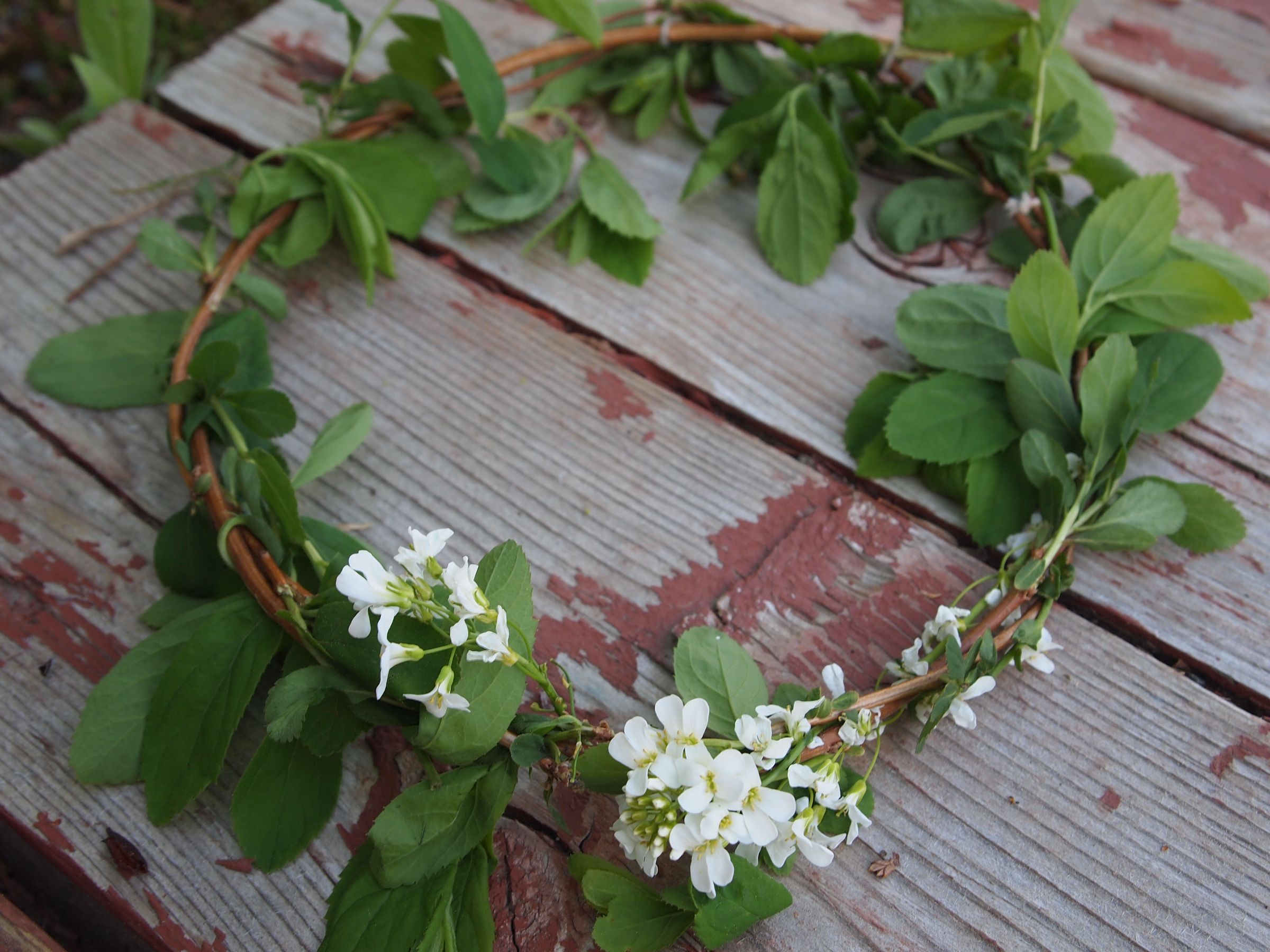 DIY Real Flower Crowns : 5 Steps (with Pictures) - Instructables
