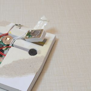 Dog Interface Device : 6 Steps (with Pictures) - Instructables