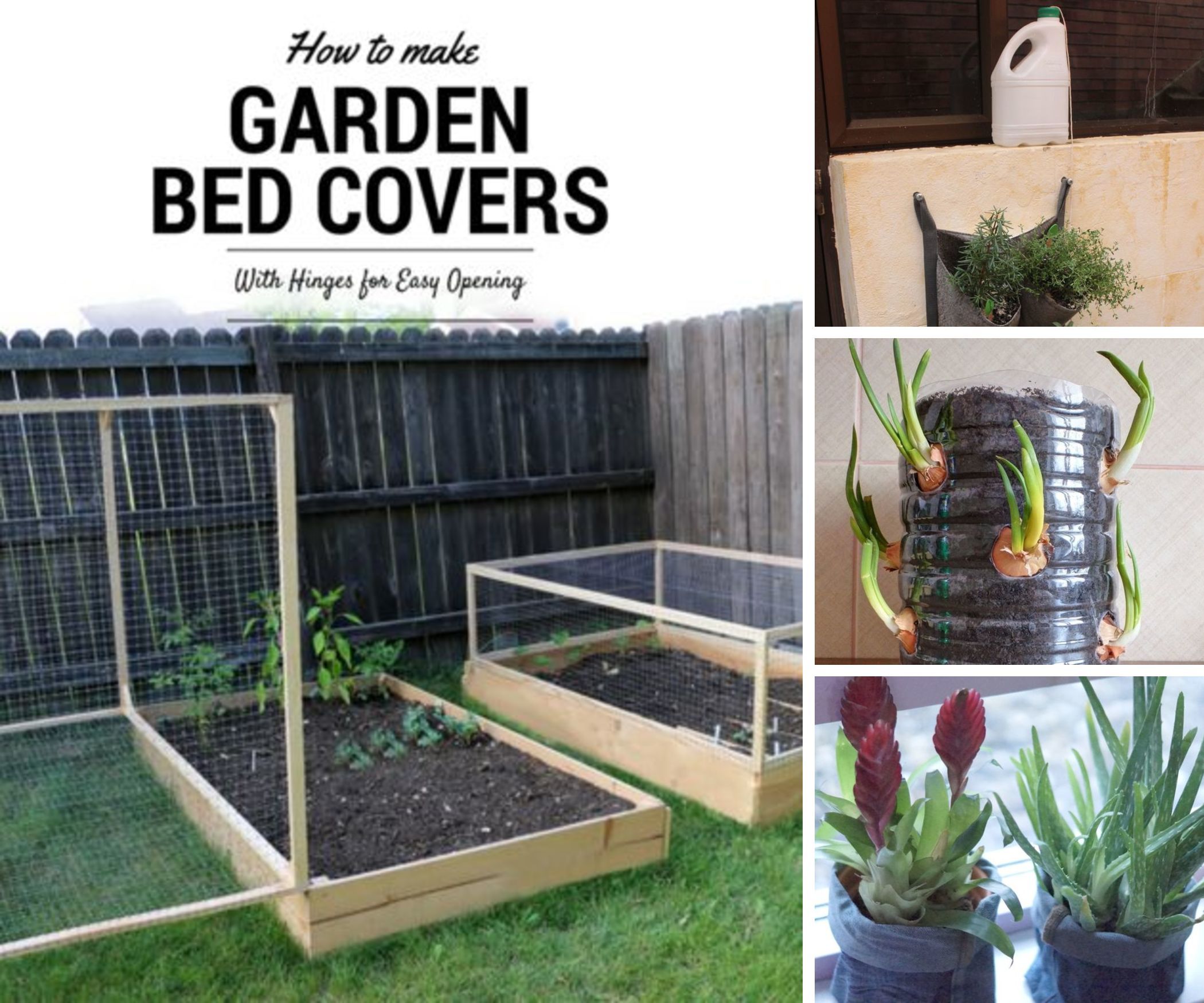 Gardening - Instructables