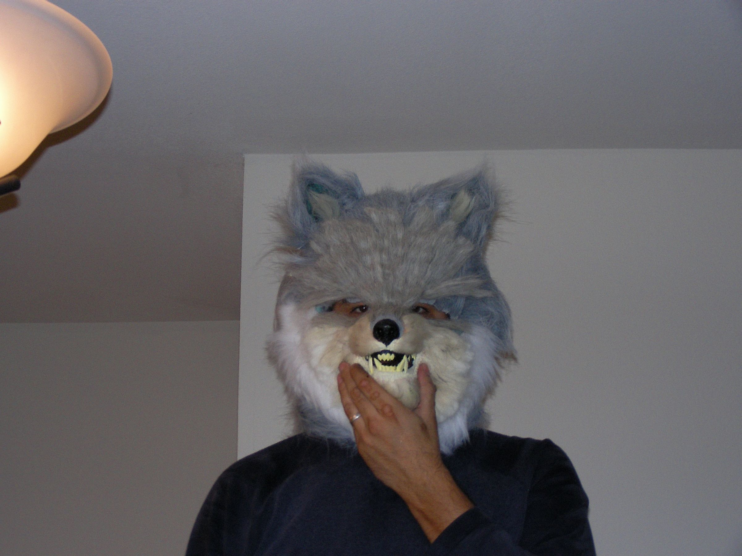 Big Bad Wolf Costume : 5 Steps (with Pictures) - Instructables