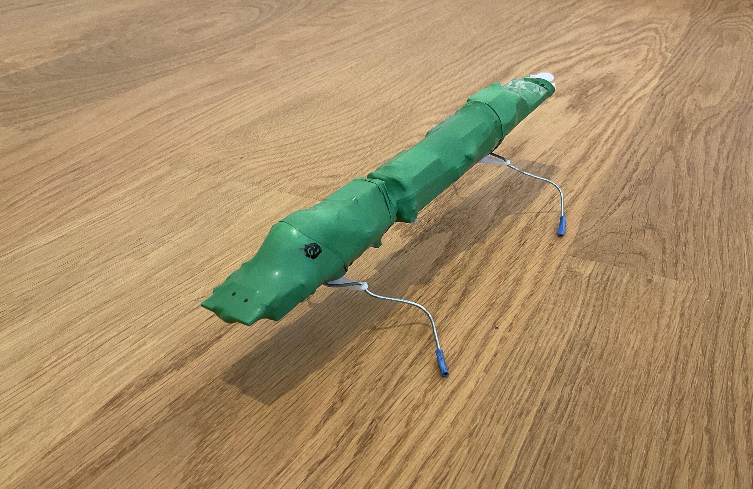 Robo-Lizard : 8 Steps (with Pictures) - Instructables