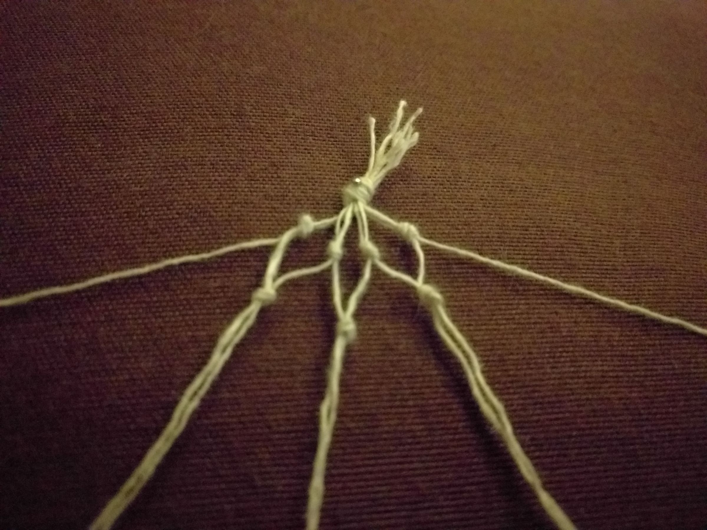 Living Succulent Hanging Earrings : 4 Steps (with Pictures) - Instructables