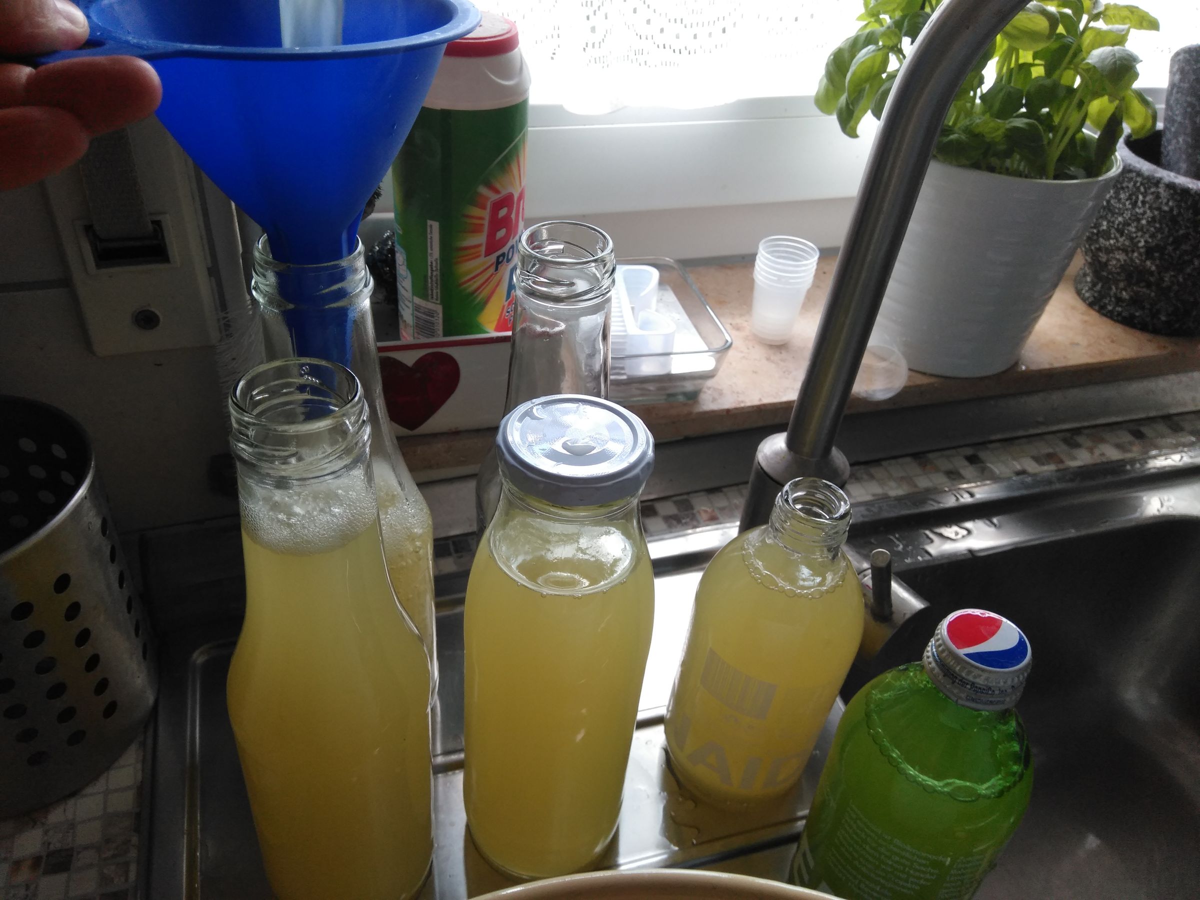 Elderflower Syrup : 11 Steps (with Pictures) - Instructables