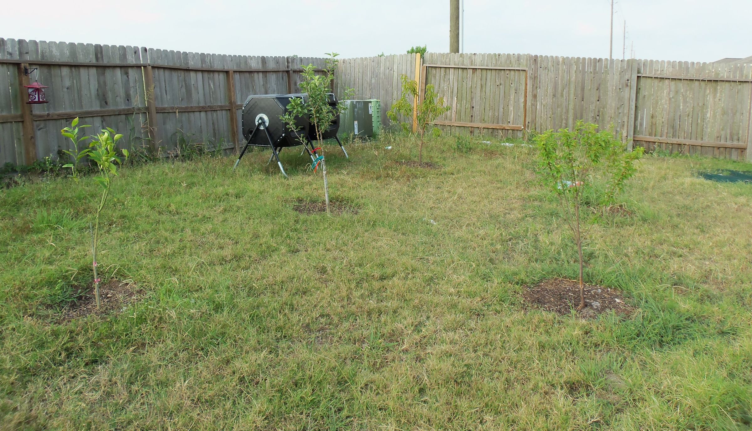 Apocalypse Garden/Backyard Beautification - Instructables