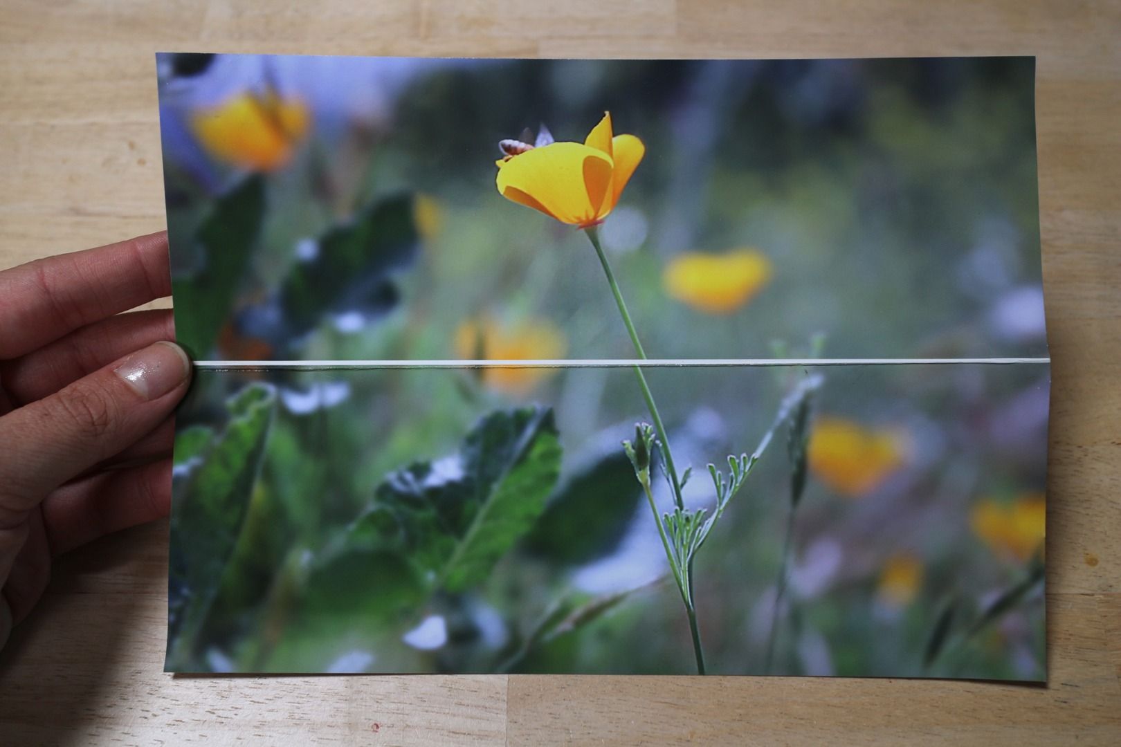 Movie to Mutoscope : 20 Steps (with Pictures) - Instructables