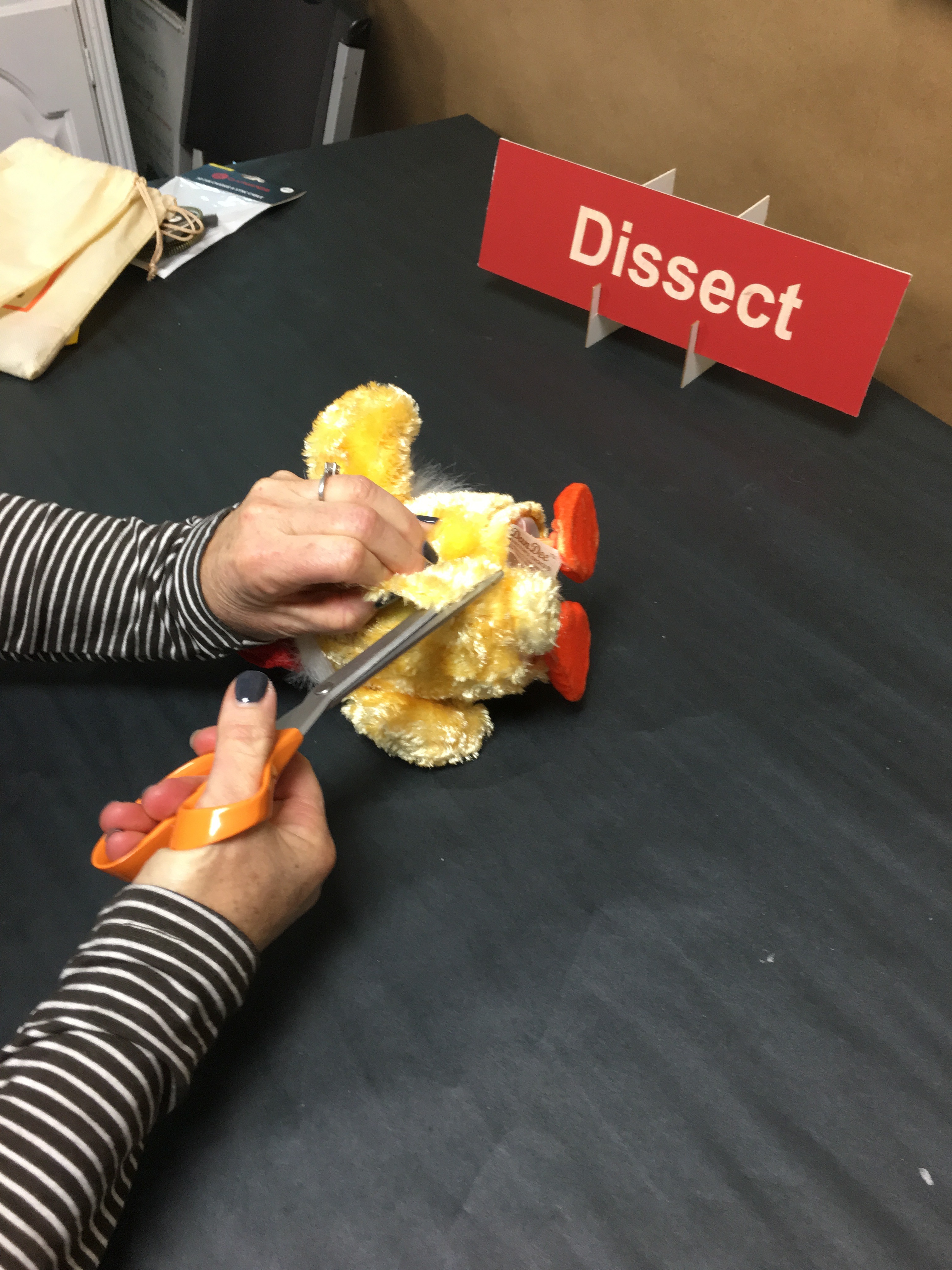 Toy Hacking - What's Inside? : 4 Steps - Instructables