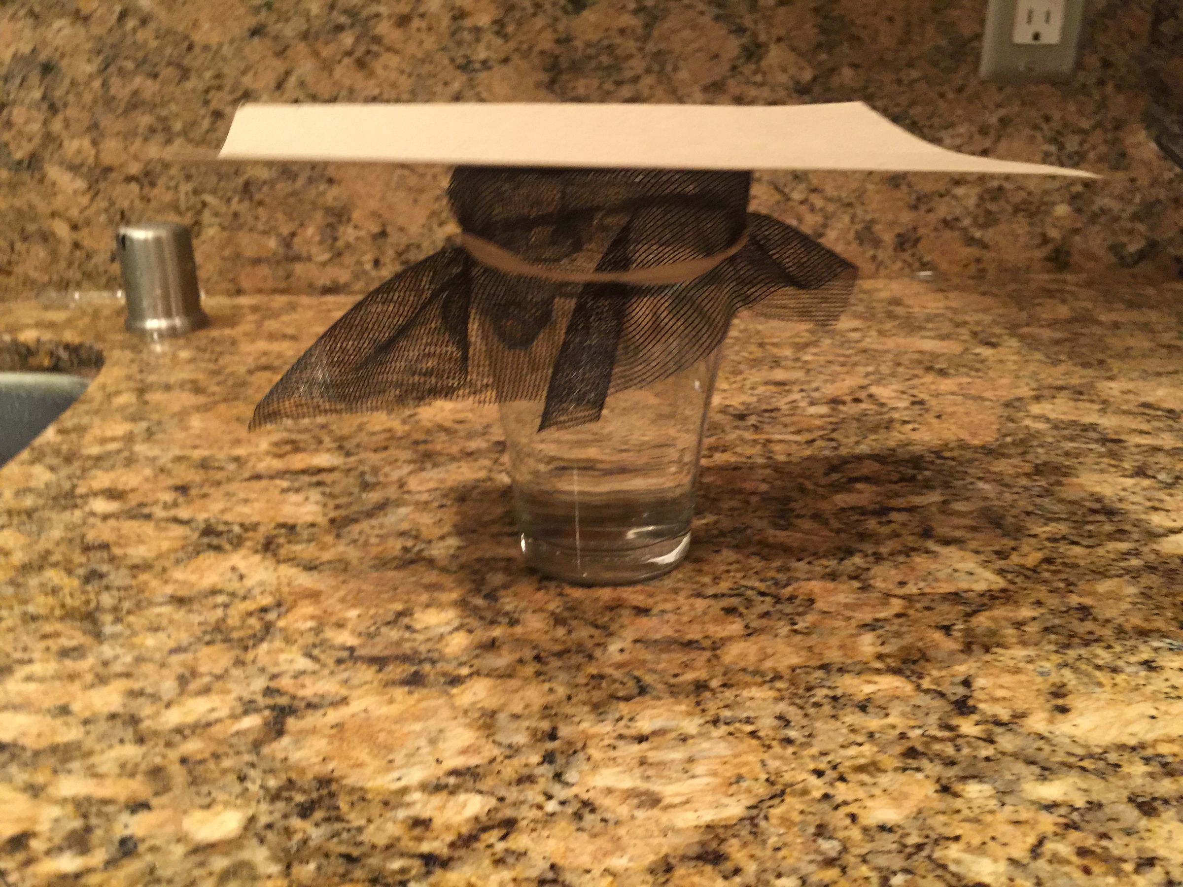 Surface Tension~Through Expirements : 4 Steps - Instructables