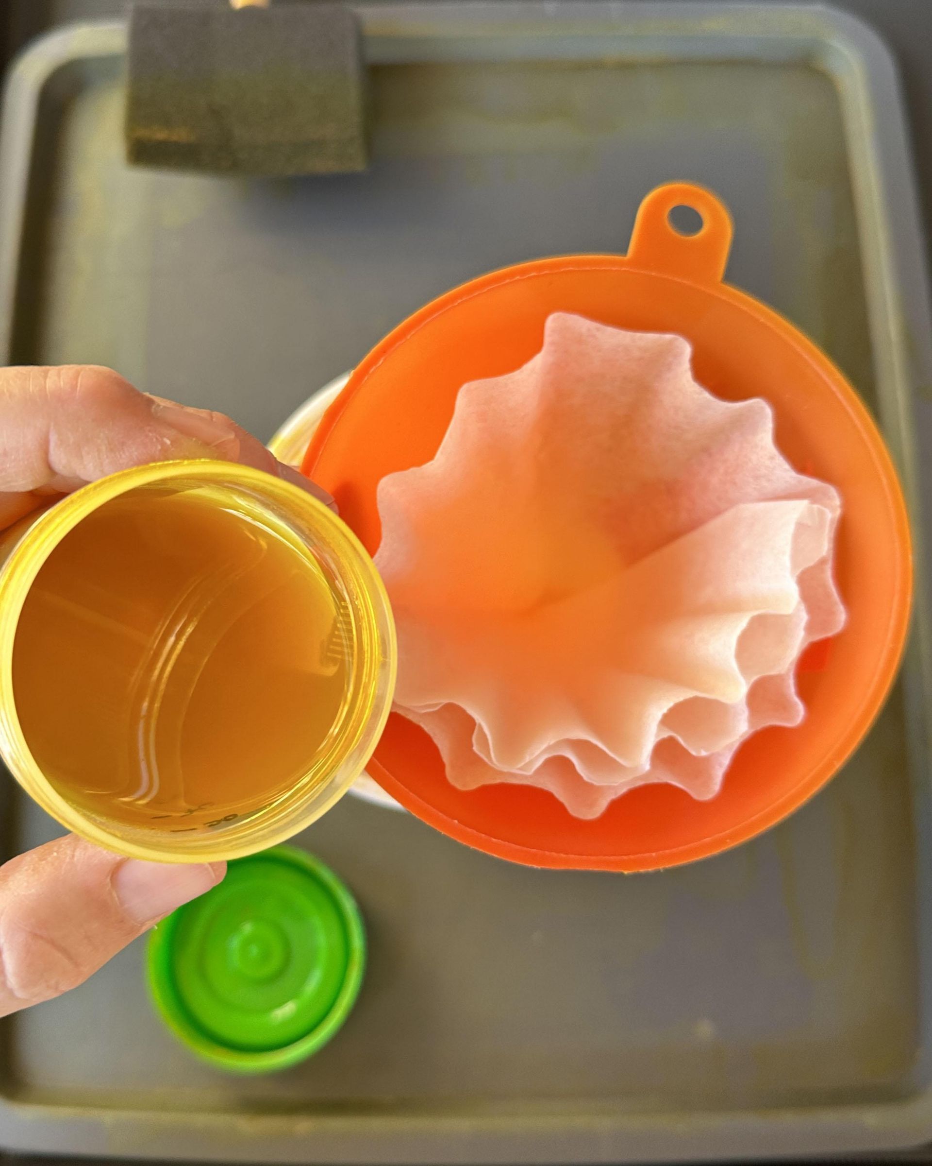 Turmeric Sun Prints/ Impresiones Solares Con Cúrcuma : 12 Steps (with ...