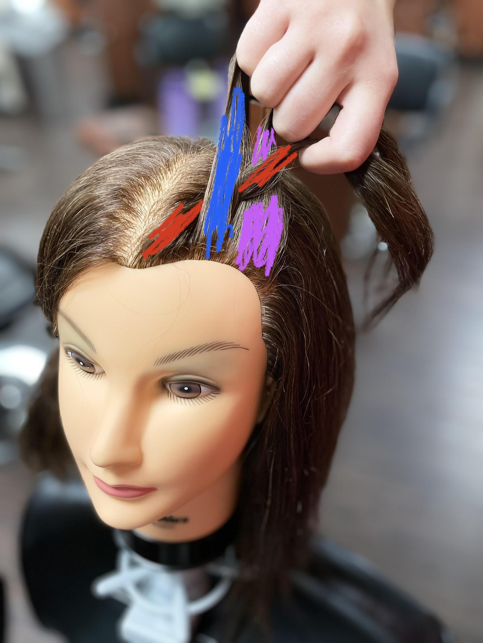 Dutch Braids : 5 Steps (with Pictures) - Instructables