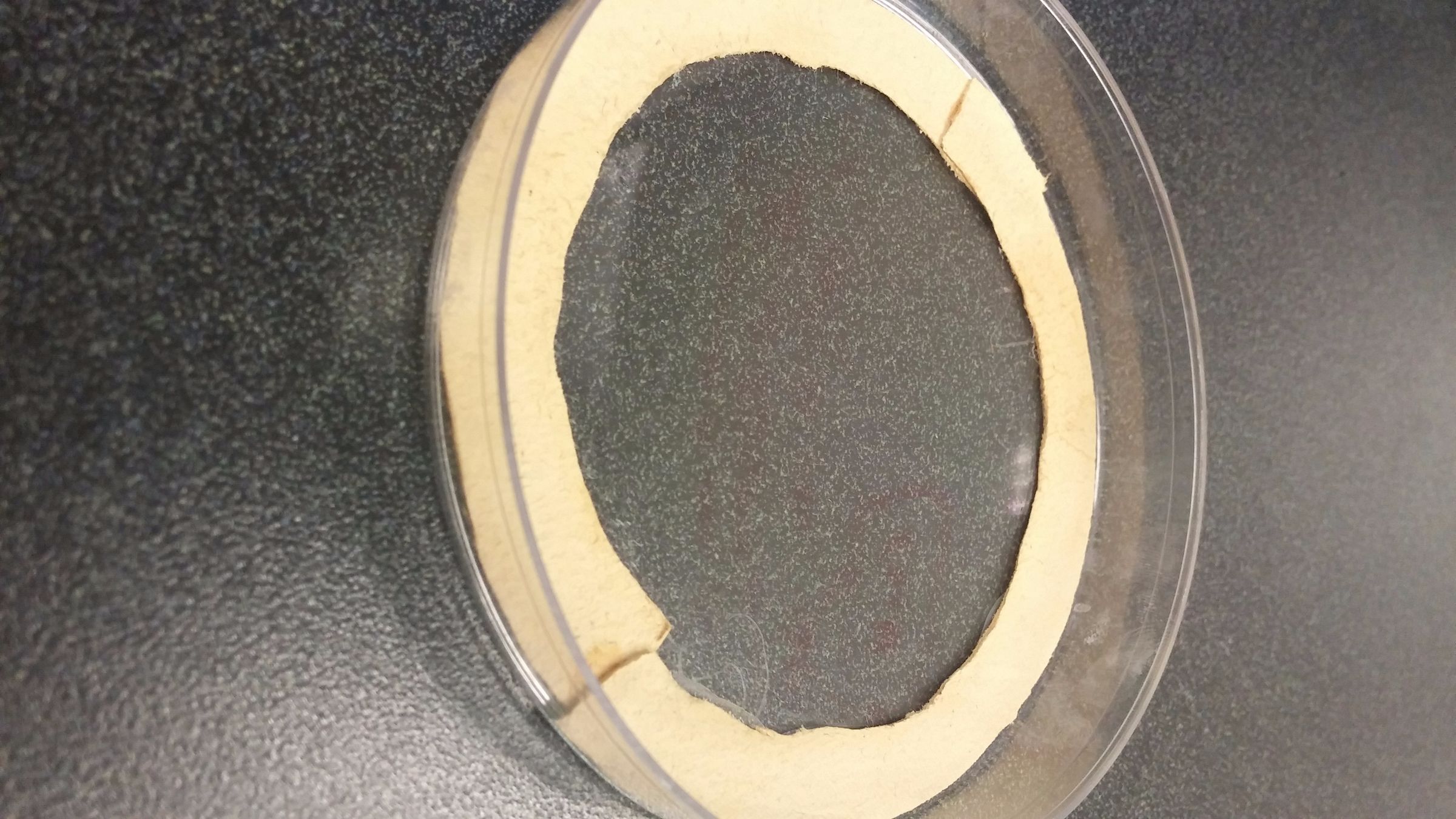 Cloud Chamber Particle Detector : 12 Steps (with Pictures) - Instructables