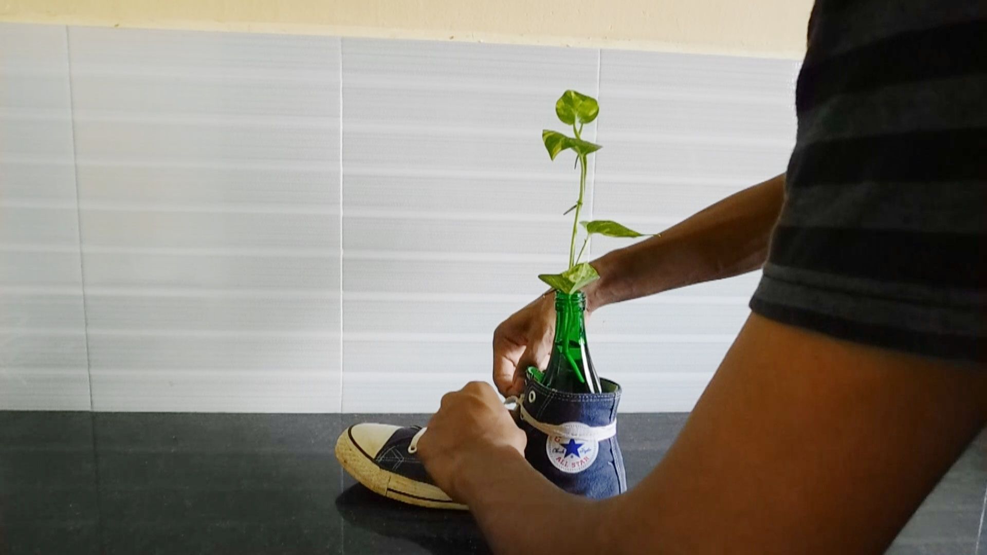 Indoor Planting Setup Using Your Old Shoe : 4 Steps - Instructables