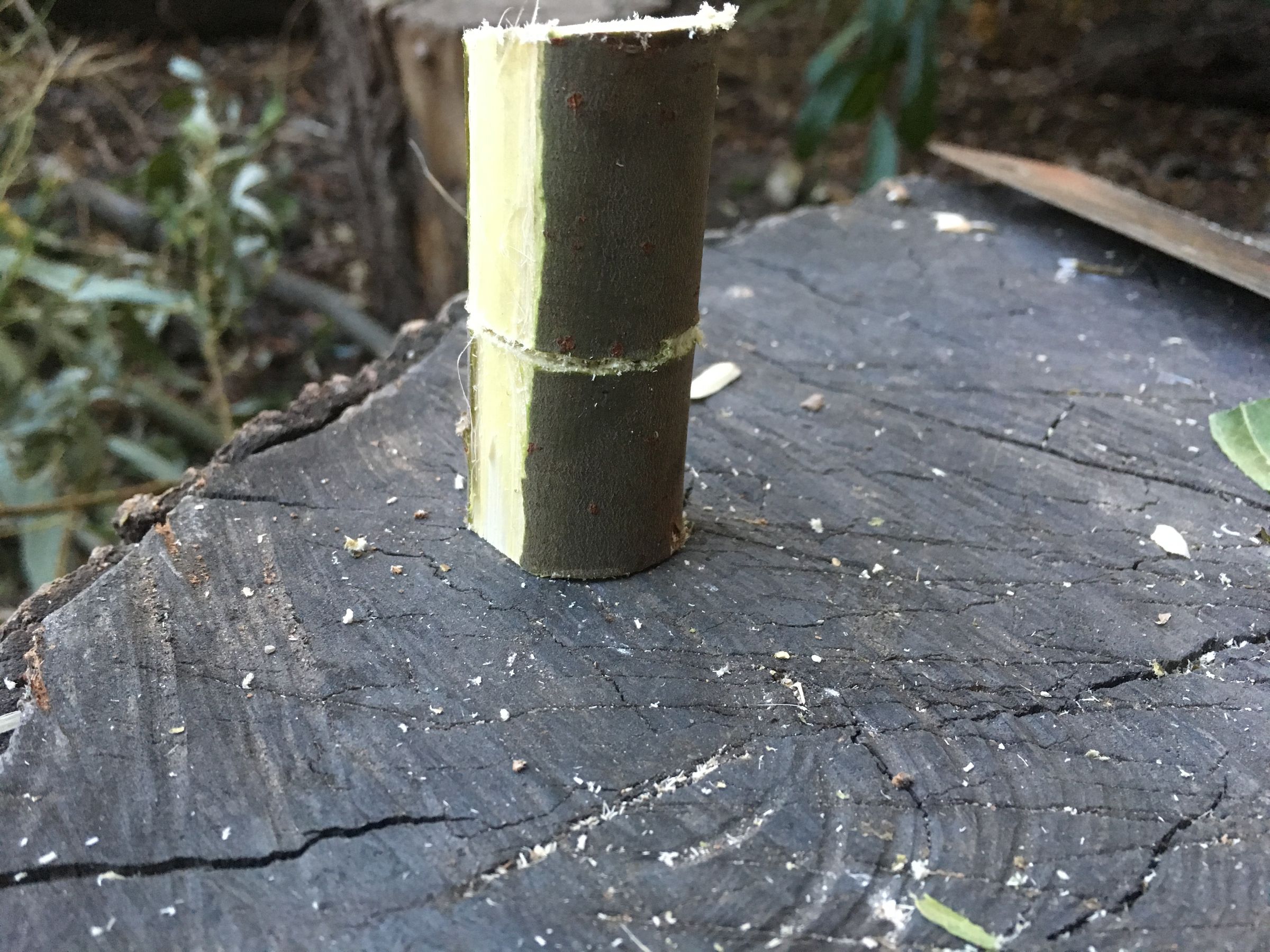 5 Super-easy Branch Carving Projects : 10 Steps (with Pictures ...