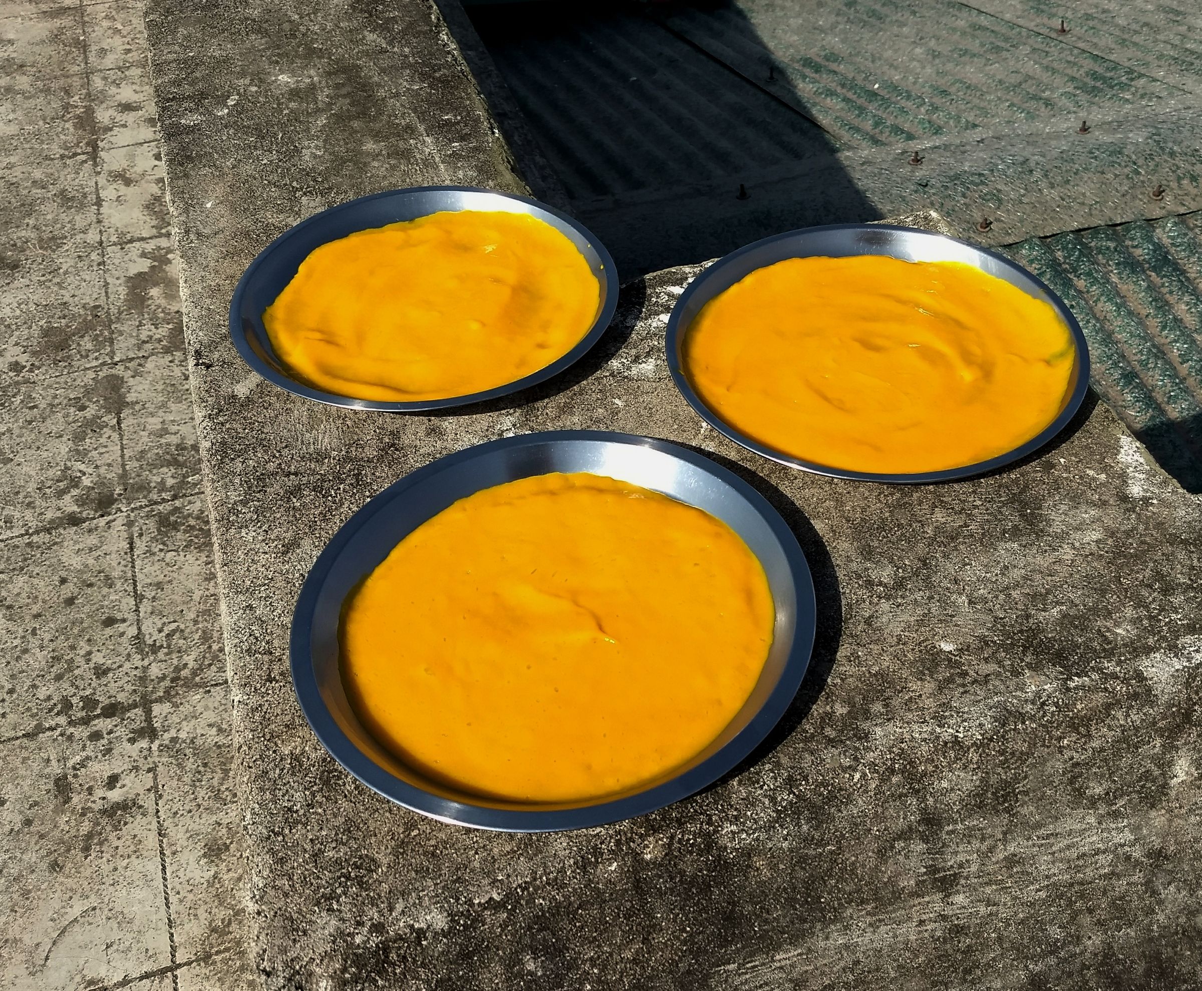 Sun Dried Mango Fruit Leather : 5 Steps (with Pictures) - Instructables