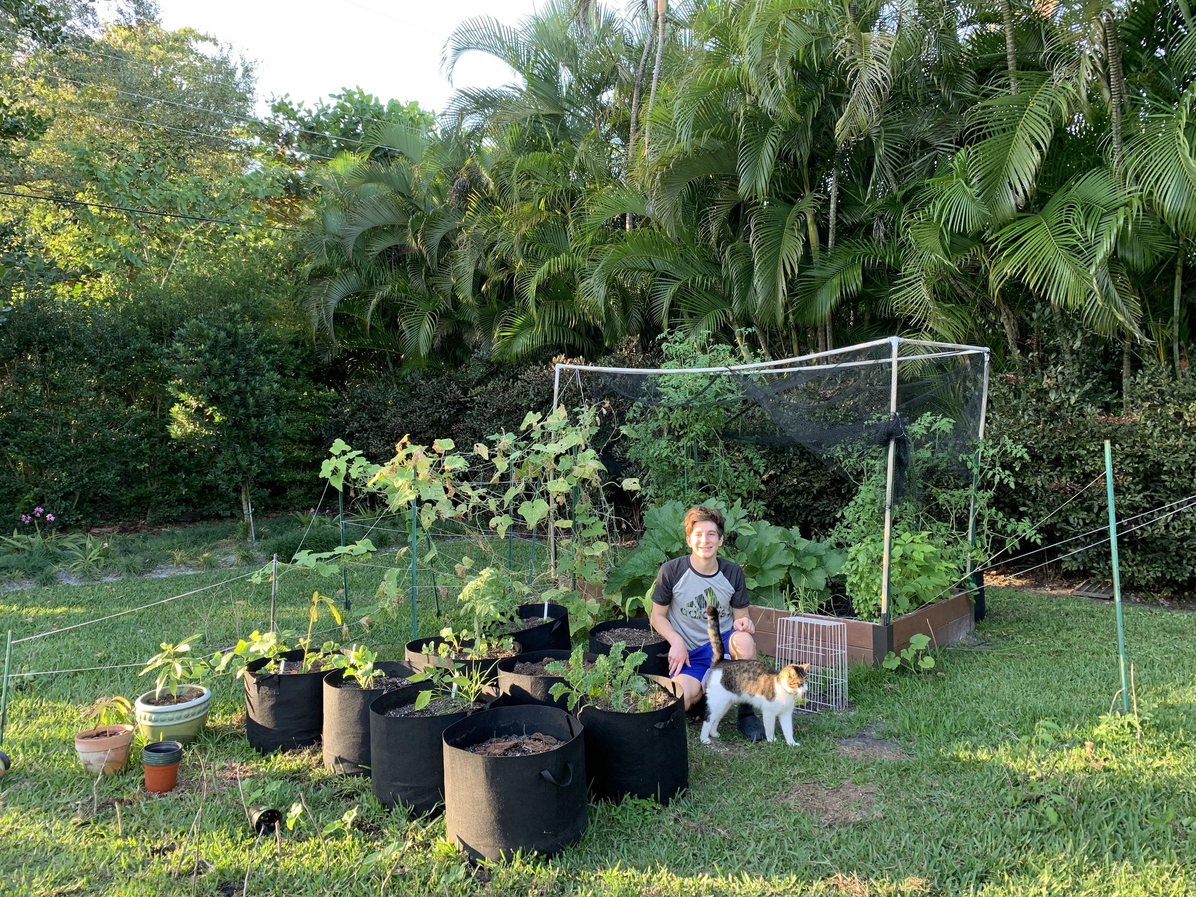 How to Create a Garden : 10 Steps (with Pictures) - Instructables