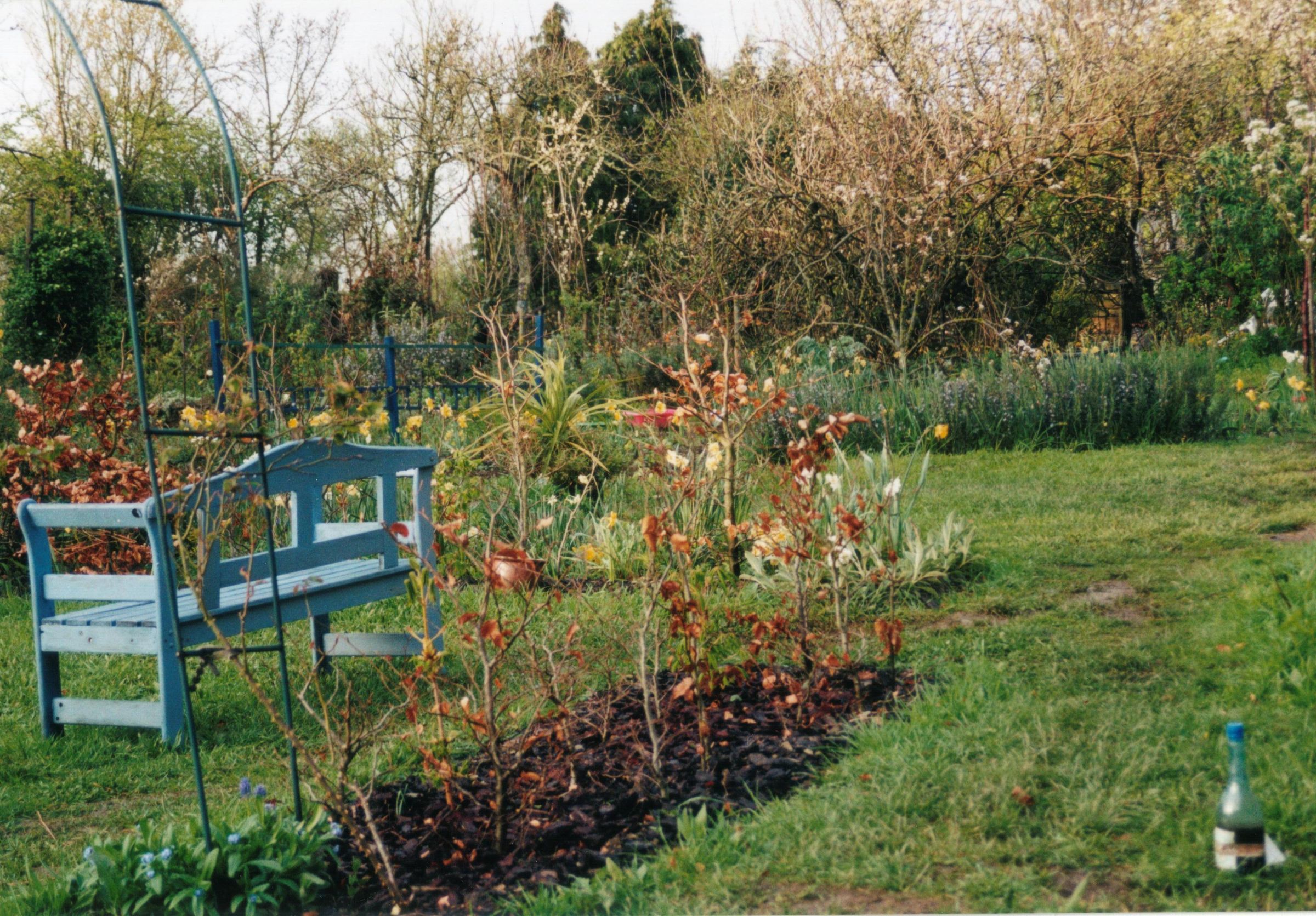 Edible Hedges - Getting the Most Out of Your Plot With Tree Fodder and ...
