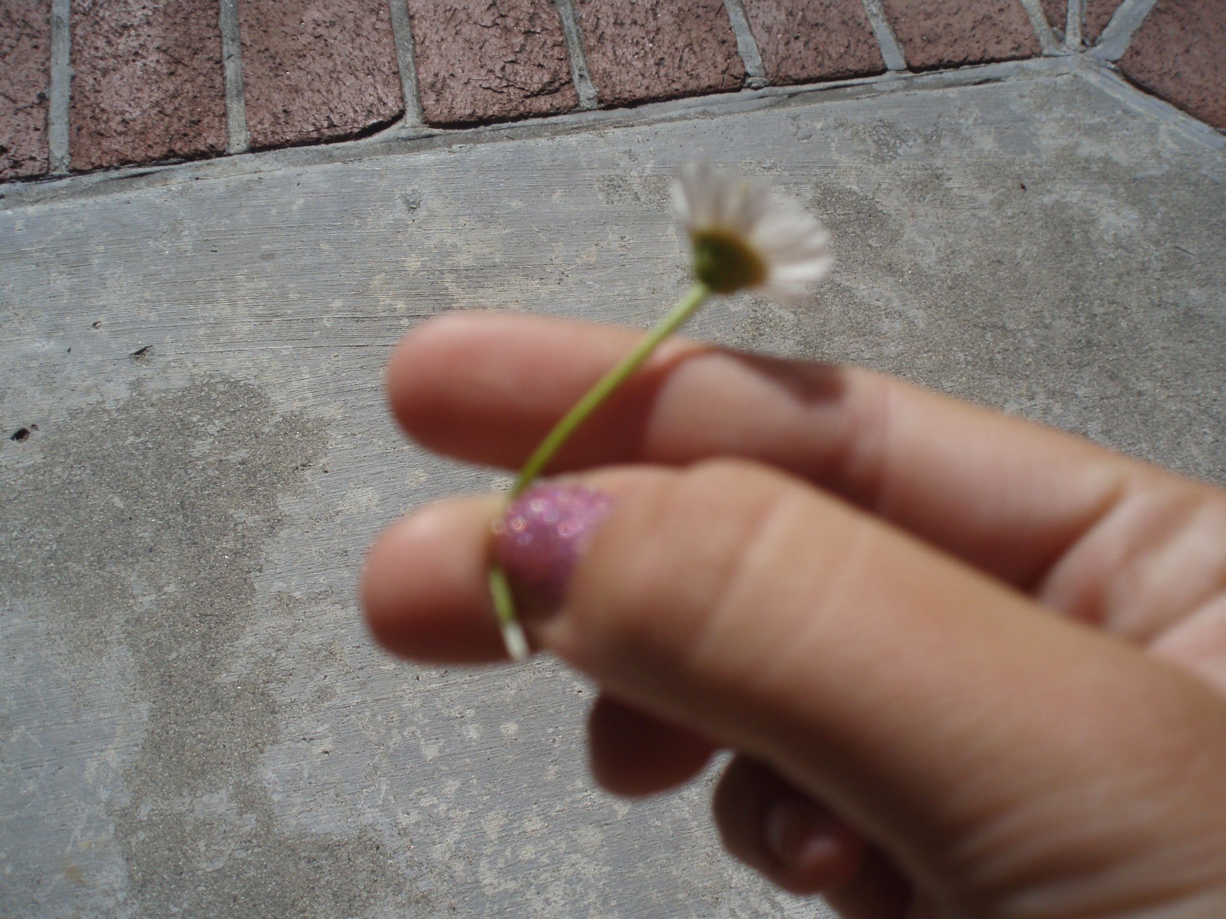 How to Make a Daisy Chain : 6 Steps - Instructables