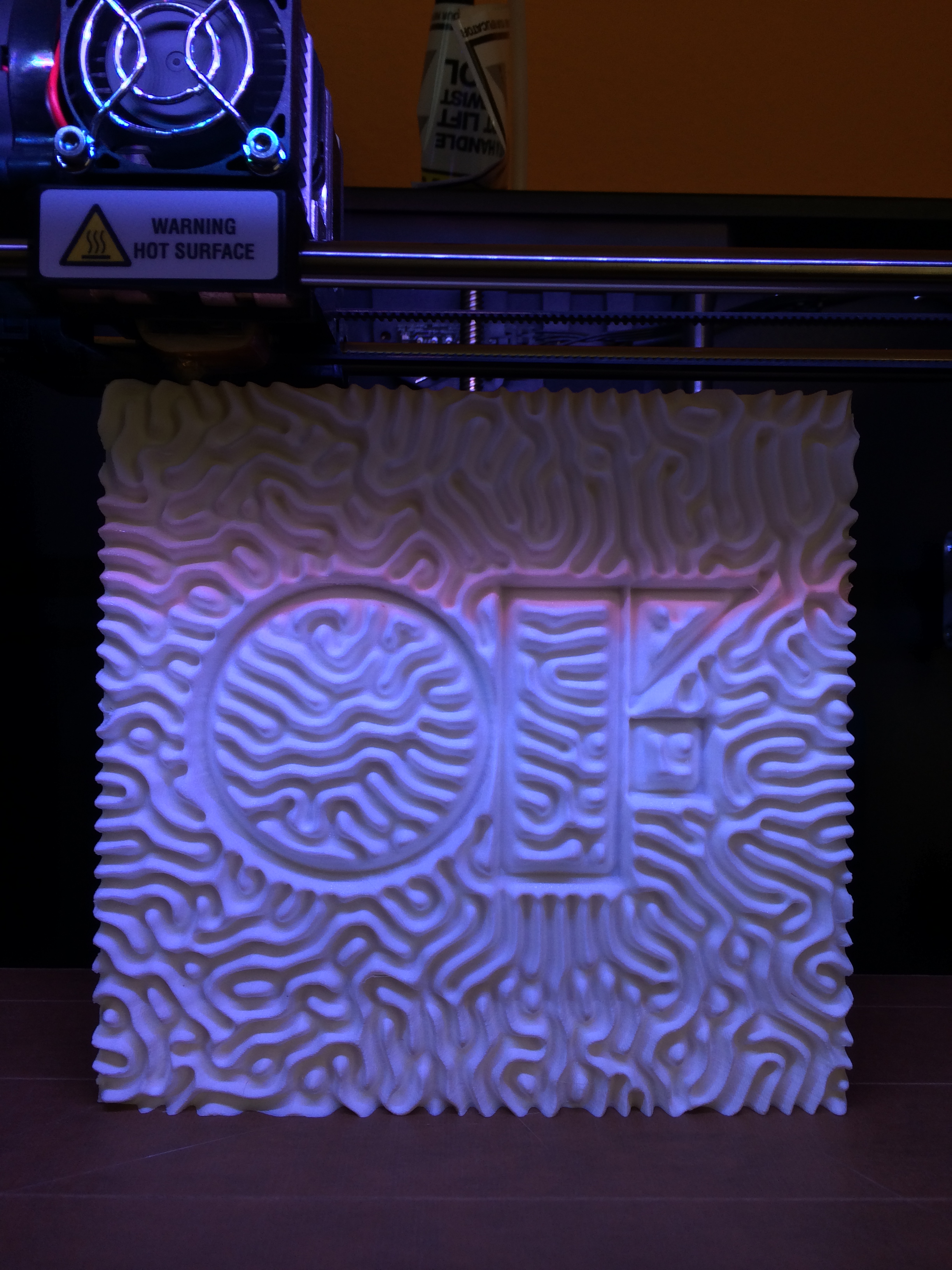 3D Printed Reaction Diffusion Patterns : 4 Steps (with Pictures ...