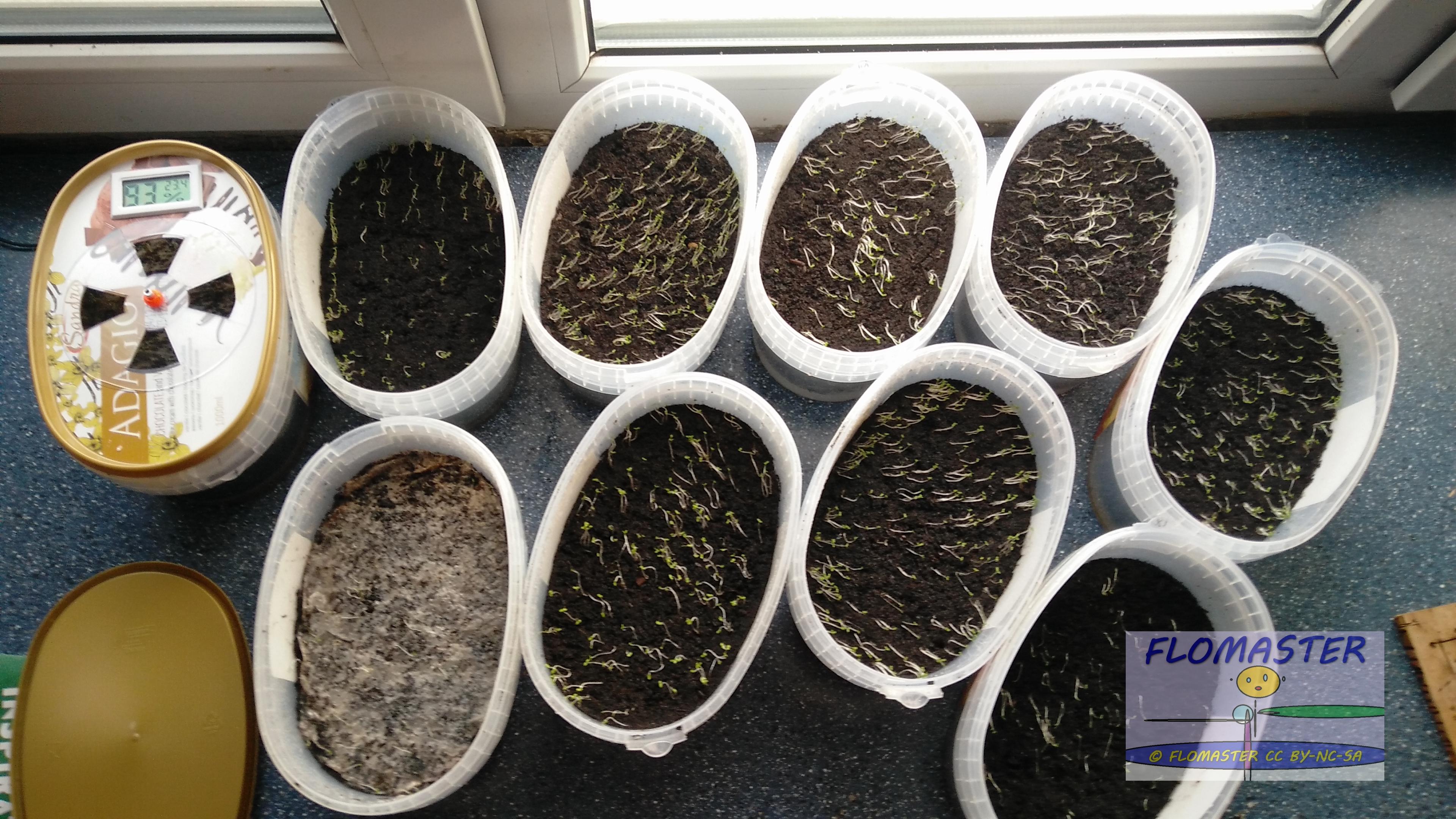 🌼 DIY Seedling Propagator From Recycled Plastic Container 🌼 : 12 Steps ...