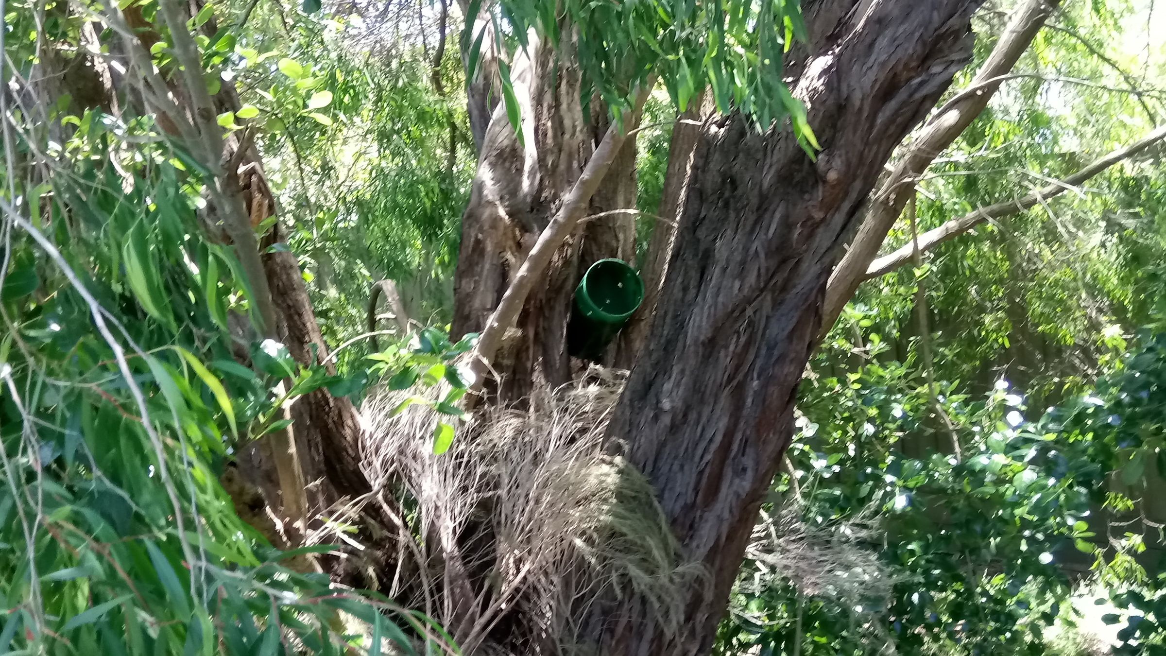 Helpful Possum Box : 4 Steps (with Pictures) - Instructables