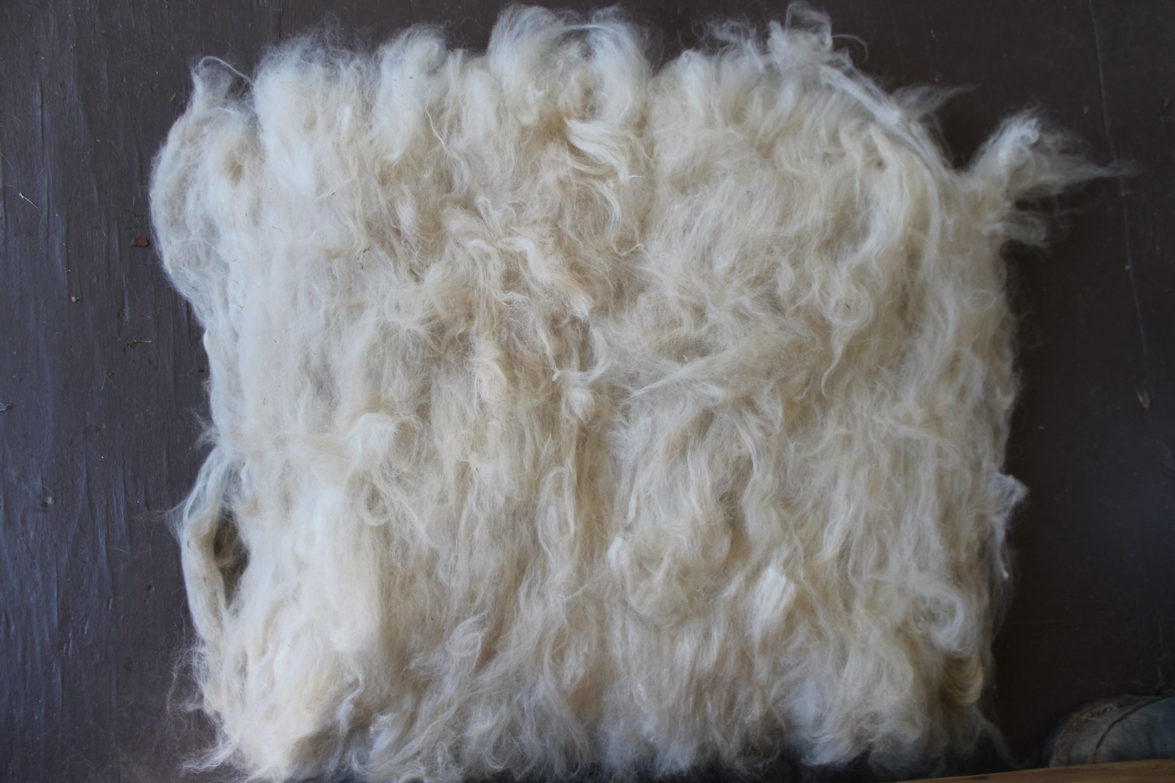 Carding Fiber : 6 Steps (with Pictures) - Instructables