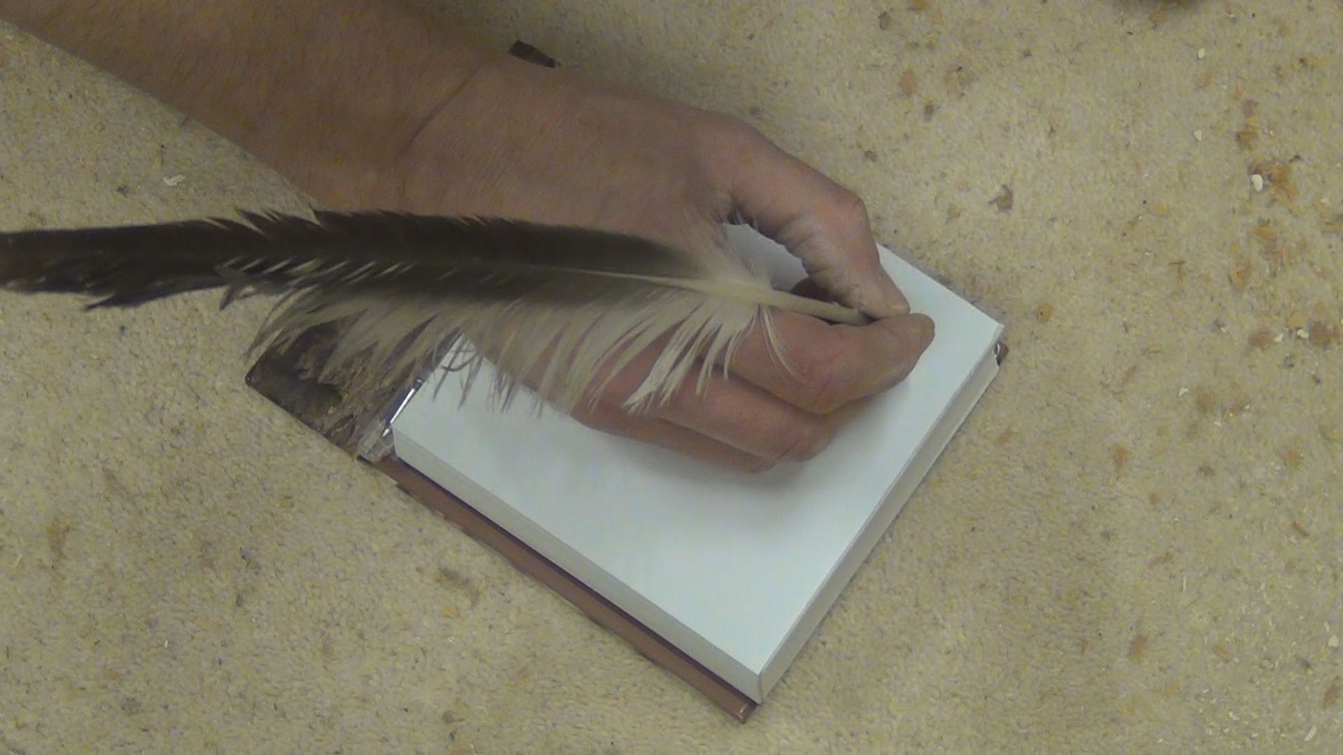 Make a Modern Quill Pen : 4 Steps (with Pictures) - Instructables