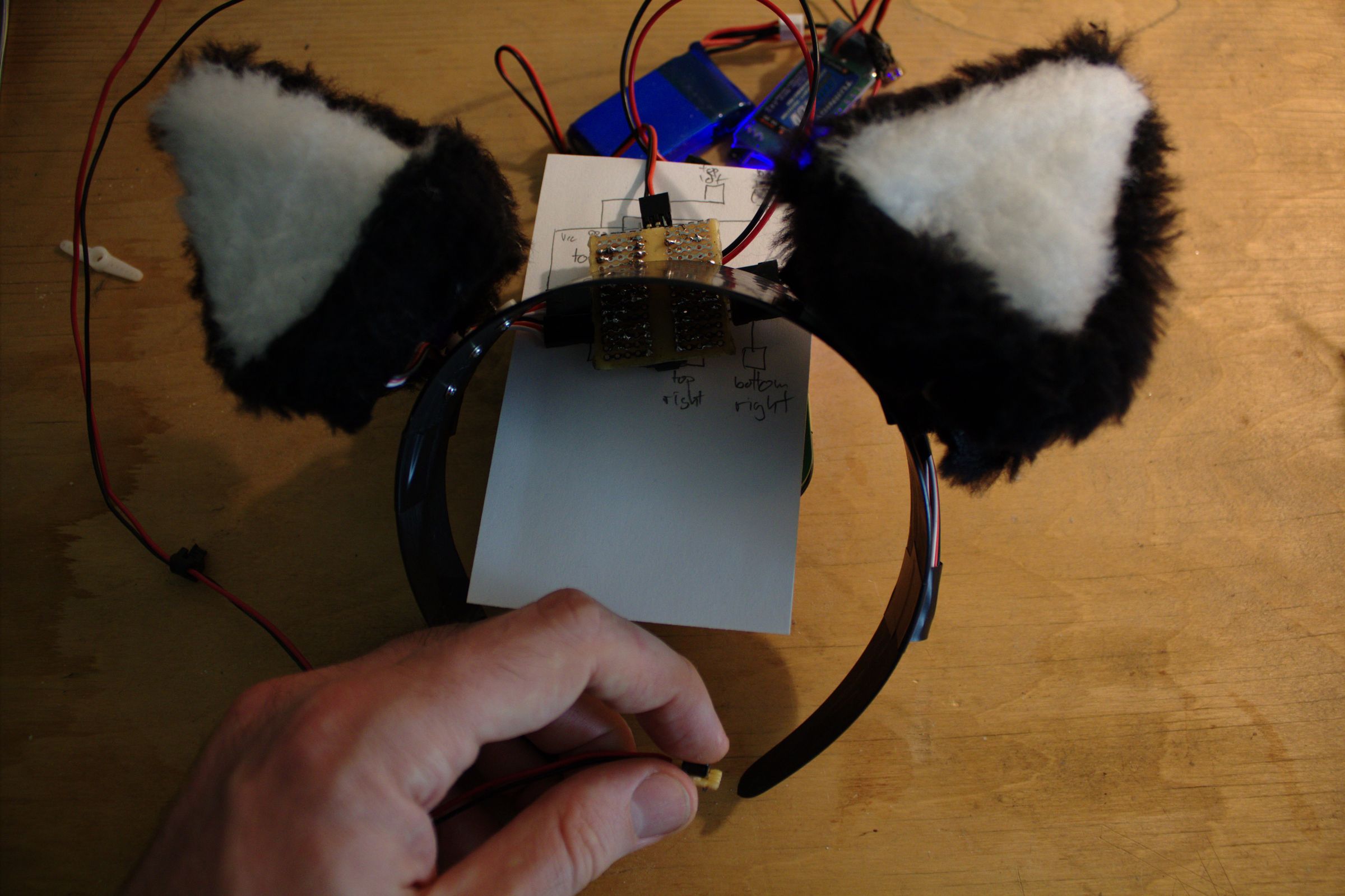 Animatronic Cat Ears : 11 Steps (with Pictures) - Instructables