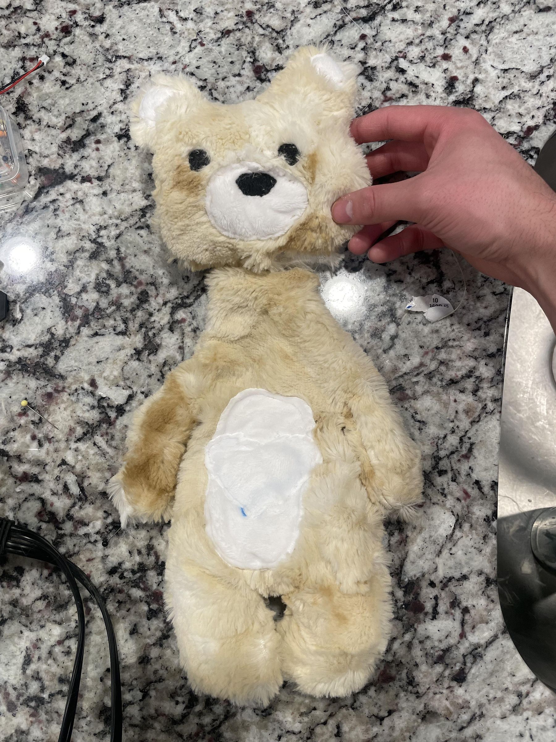 Sensory Bear 🧸 : 15 Steps (with Pictures) - Instructables