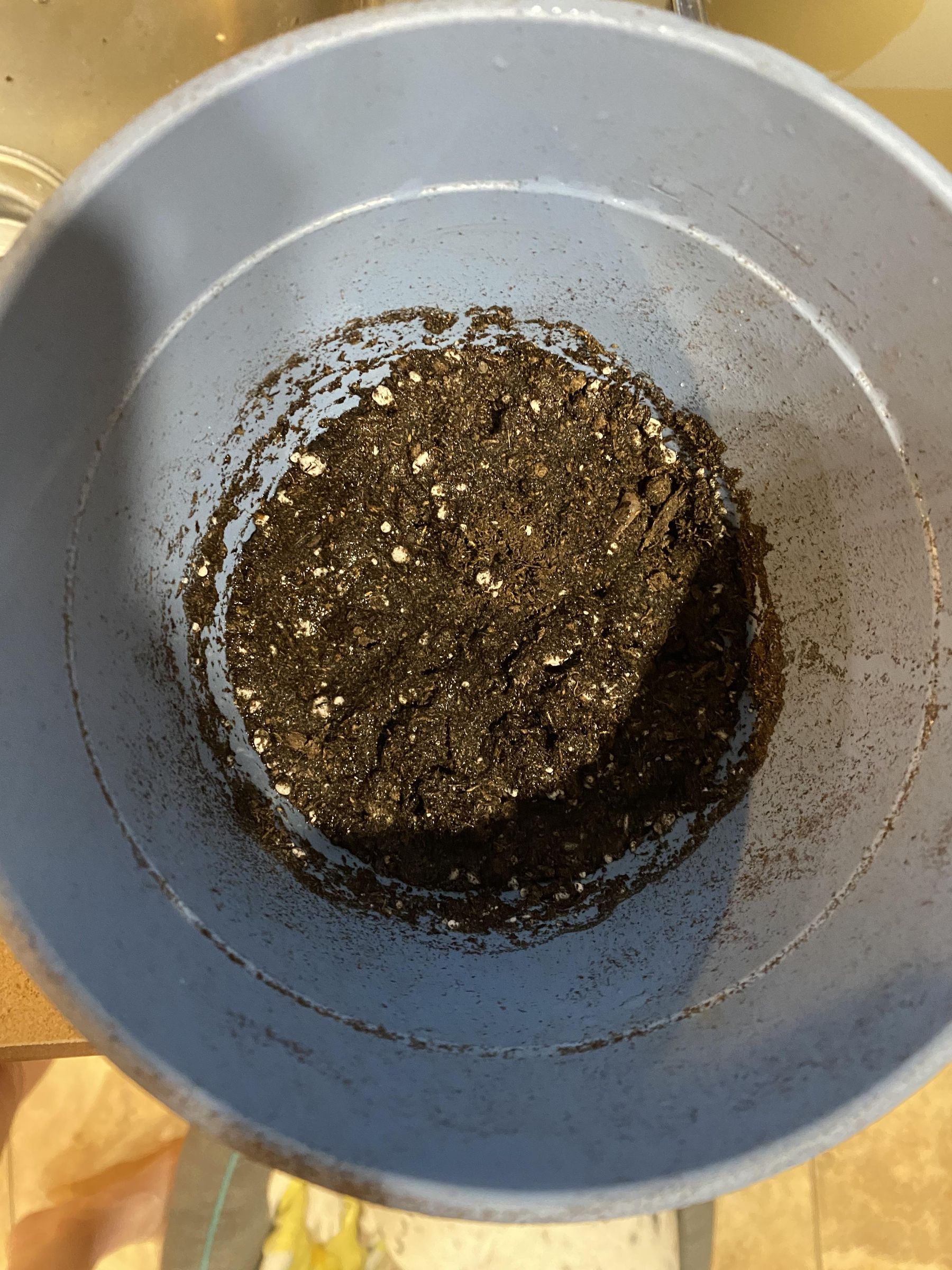 How to Stratify Seeds : 10 Steps (with Pictures) - Instructables