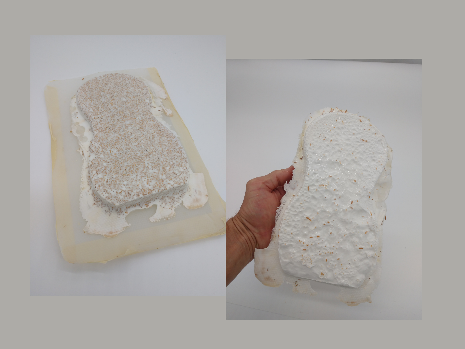 Growing Mycelium in the Classroom and Making Stuff With It ...