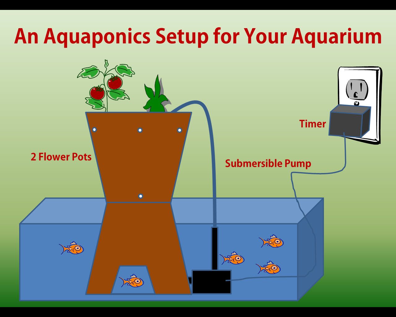 An Aquaponics Setup for Your Aquarium (with Pictures) - Instructables