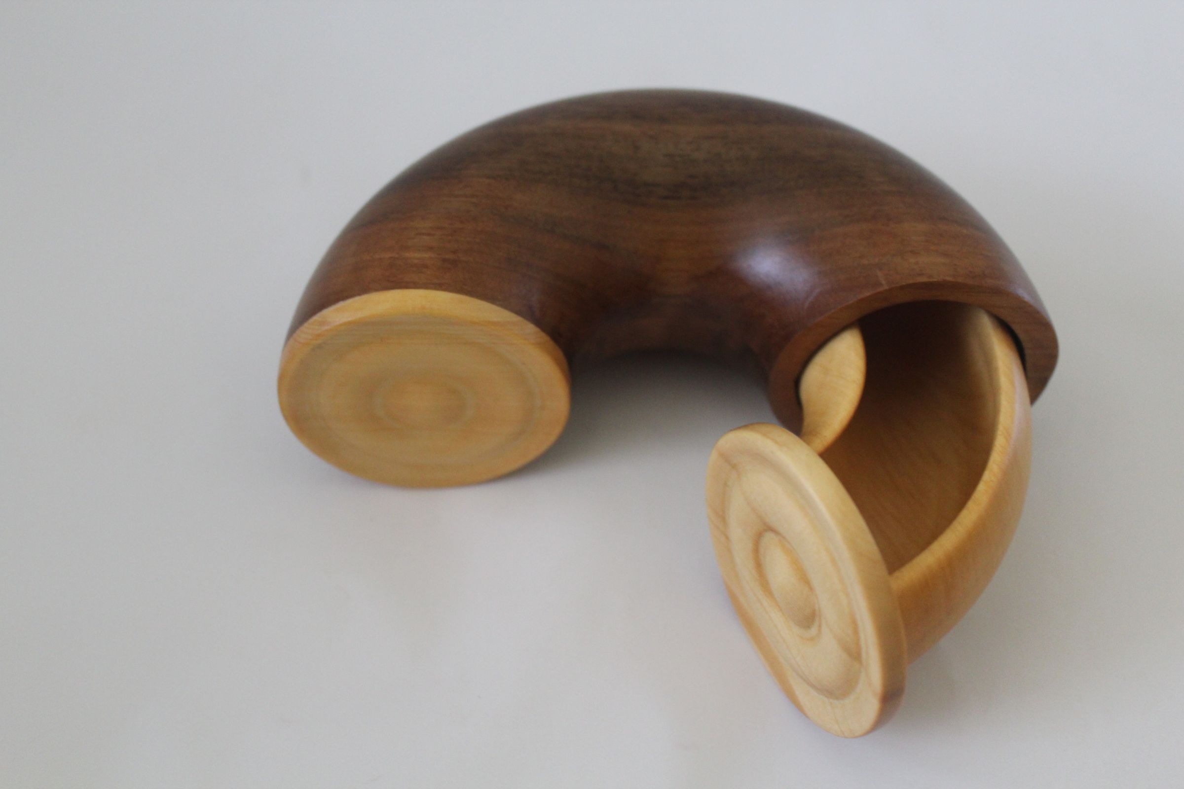 Torus Box : 11 Steps (with Pictures) - Instructables